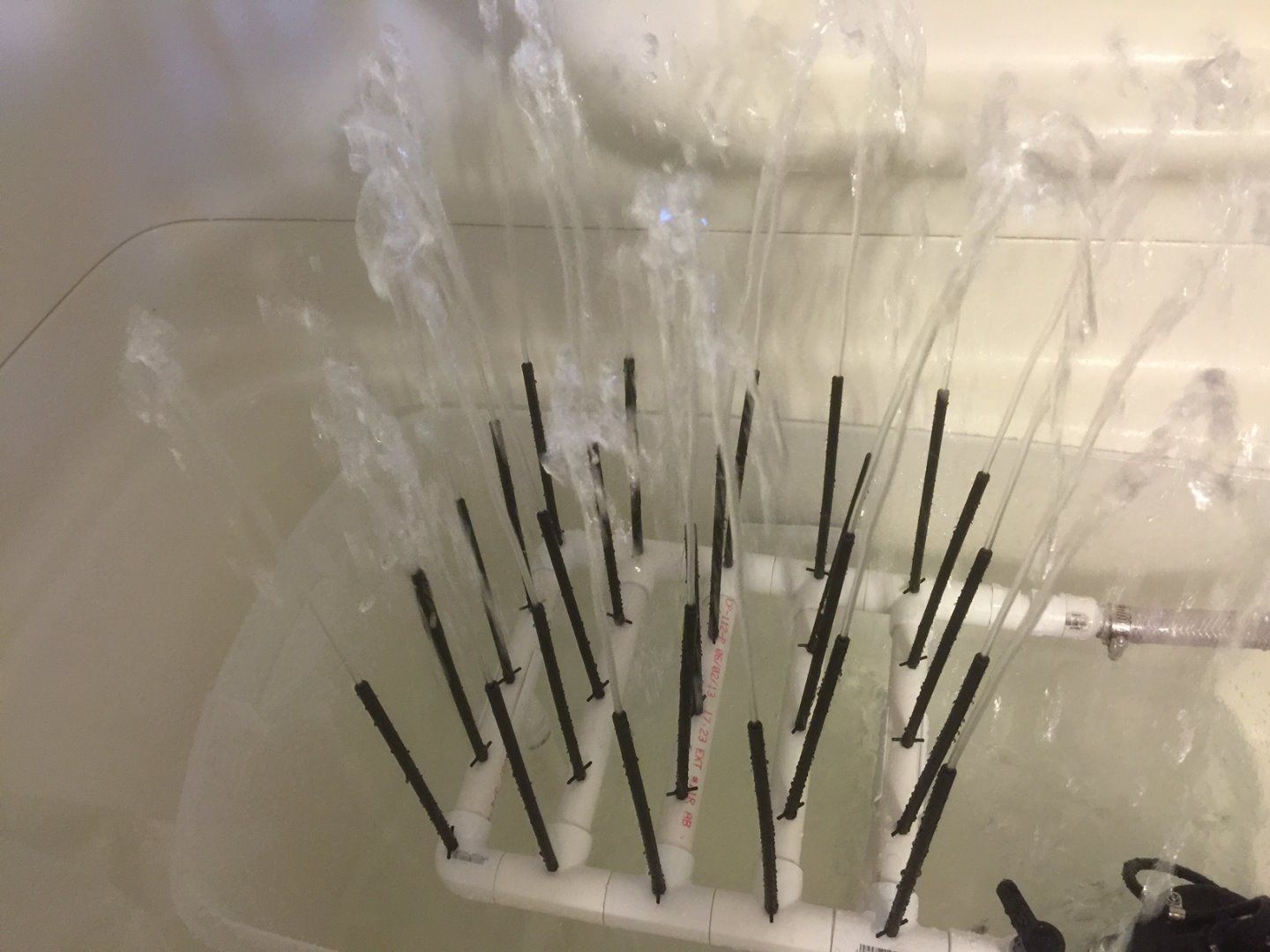 Bottle Washer : 6 Steps (with Pictures) - Instructables