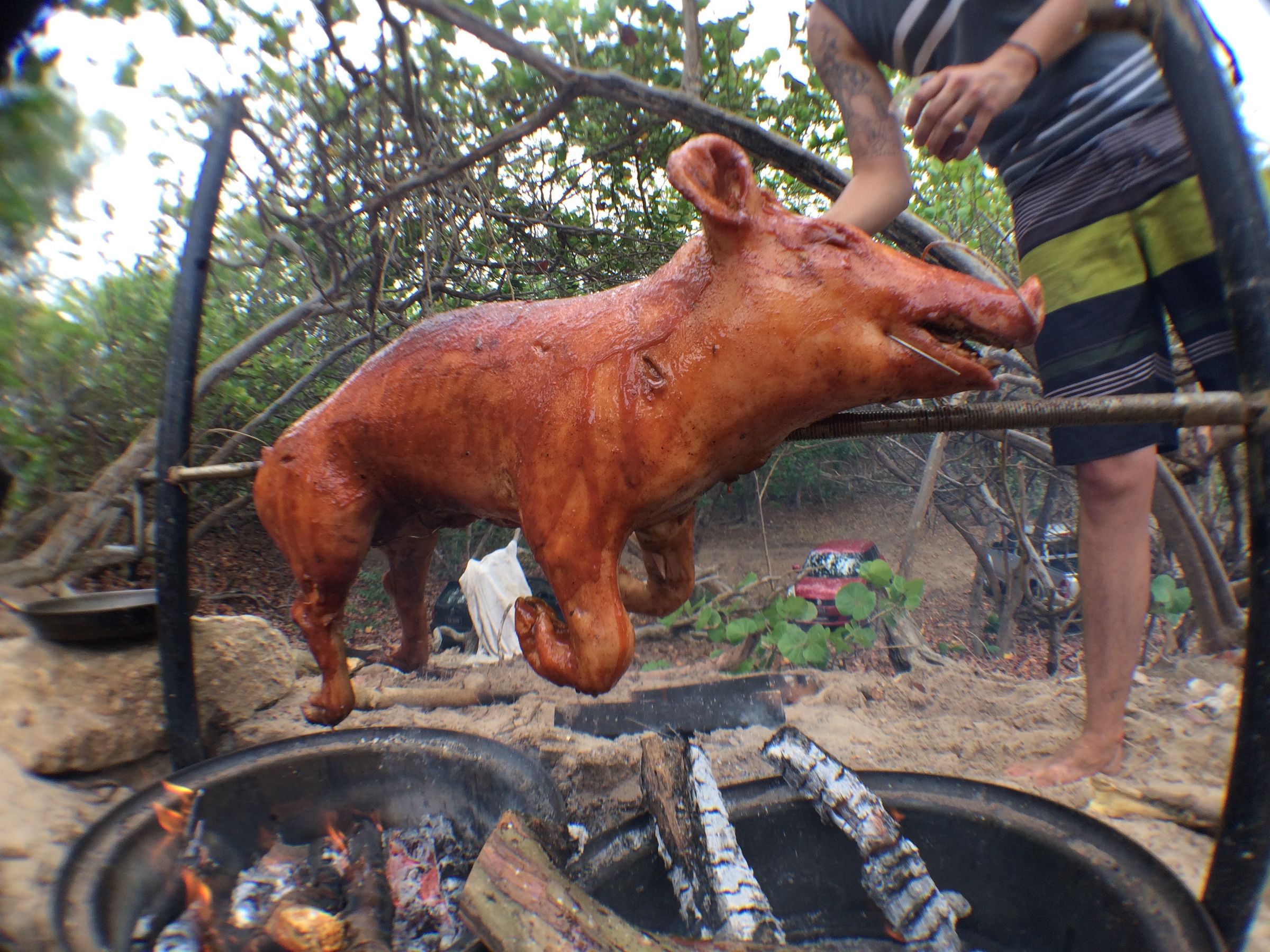 How to Roast a Pig in "The Wild" : 6 Steps - Instructables