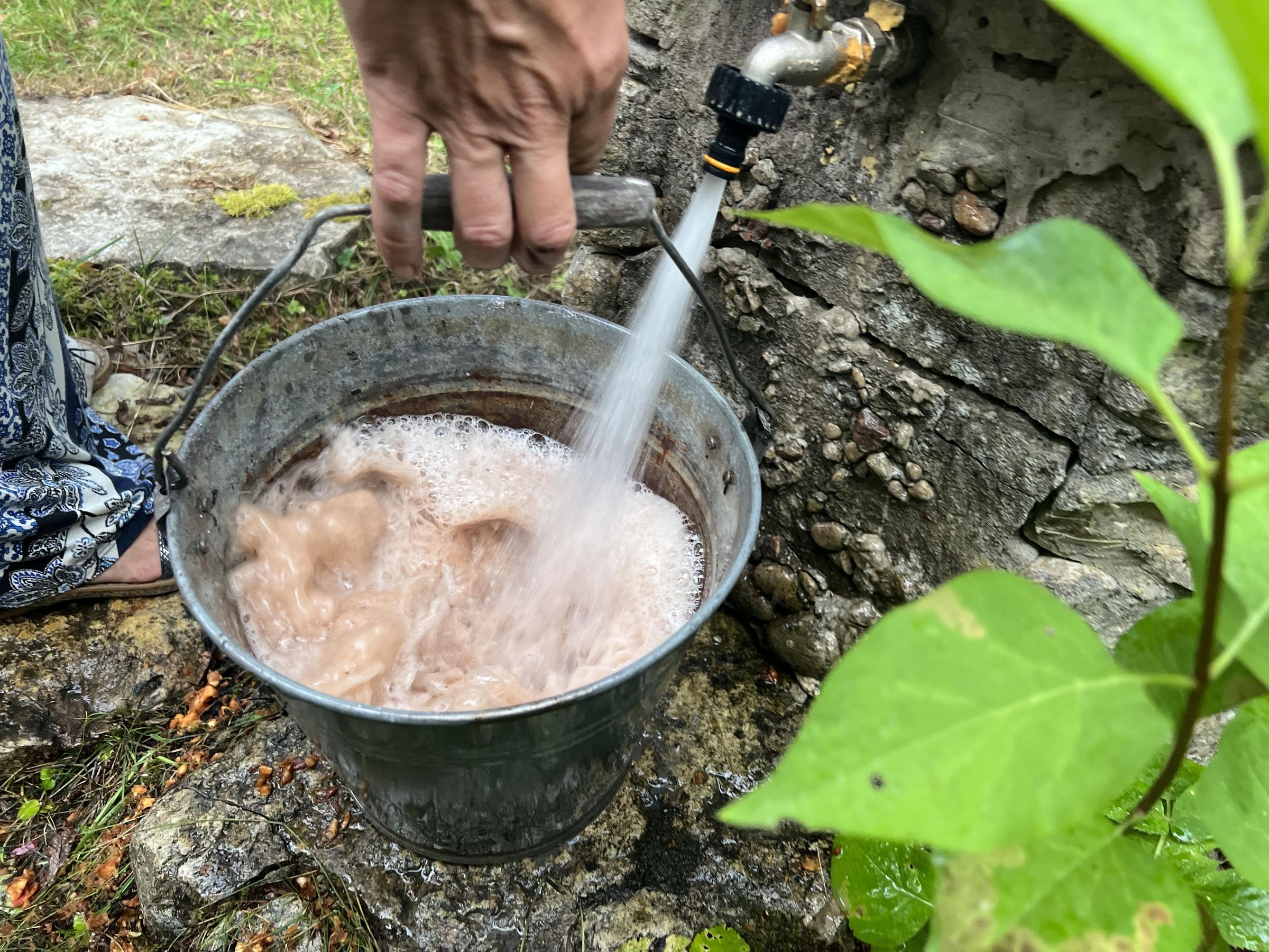 How to Turn Stinging Nettles Into Fertilizer : 6 Steps (with Pictures ...