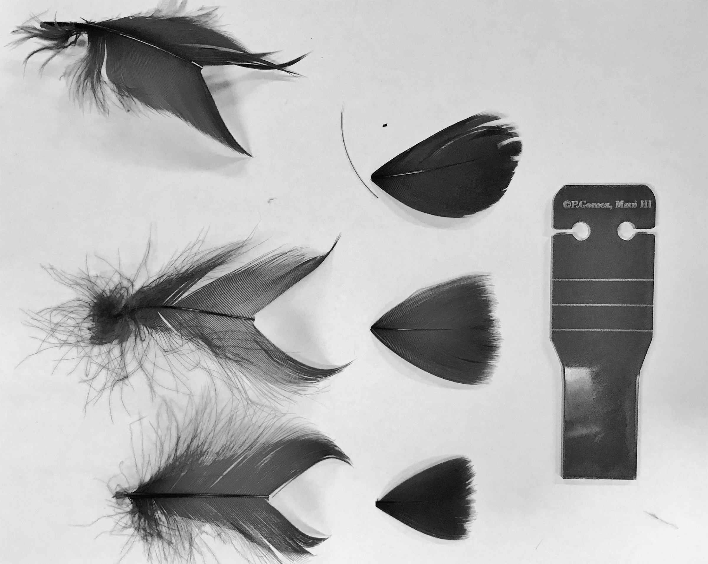 Lei Key by Maui Feather Lei Aunty Pattie Hanna Lei Tools Lei Hulu : 4 ...