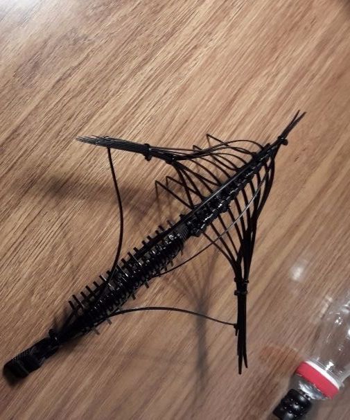 Strange Random Insect [SRI] : 4 Steps (with Pictures) - Instructables