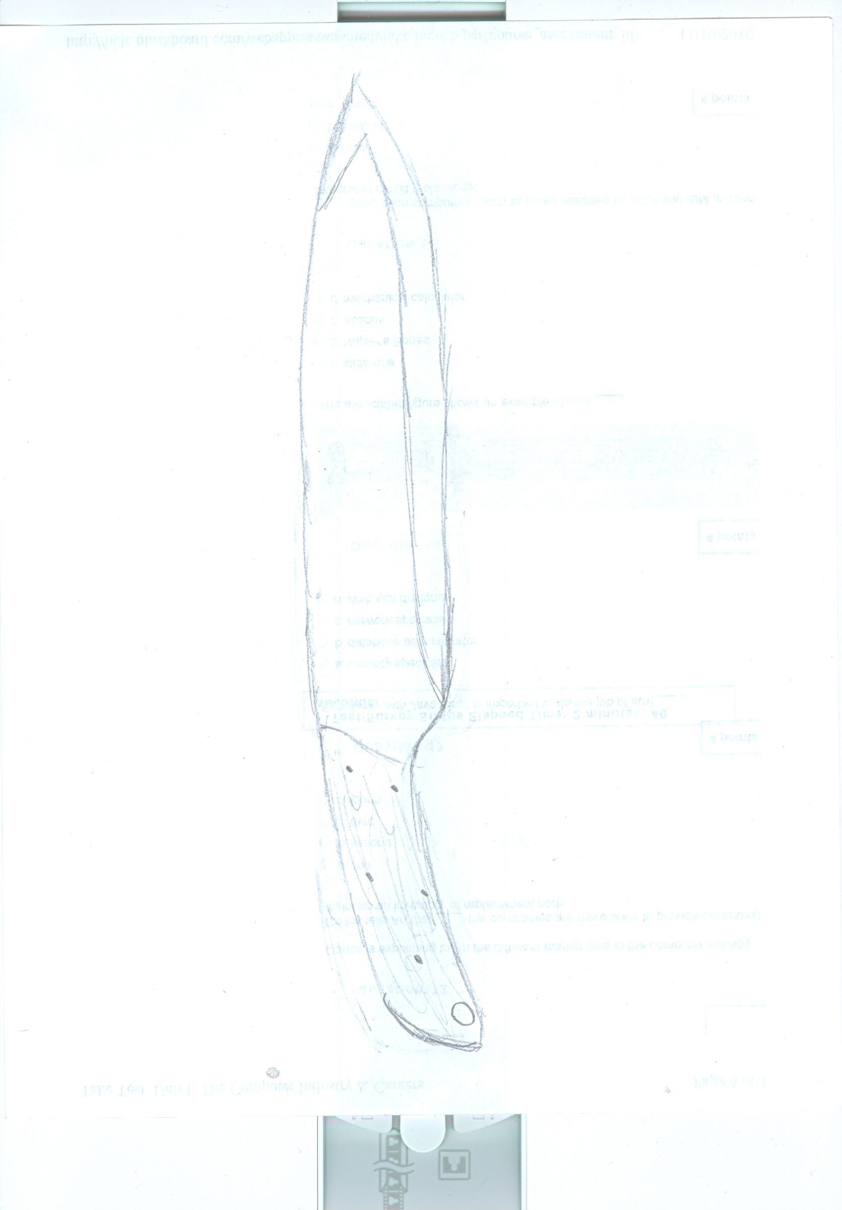Making a Large Camp Knife From an Old Rasp. Part 1 : 9 Steps ...