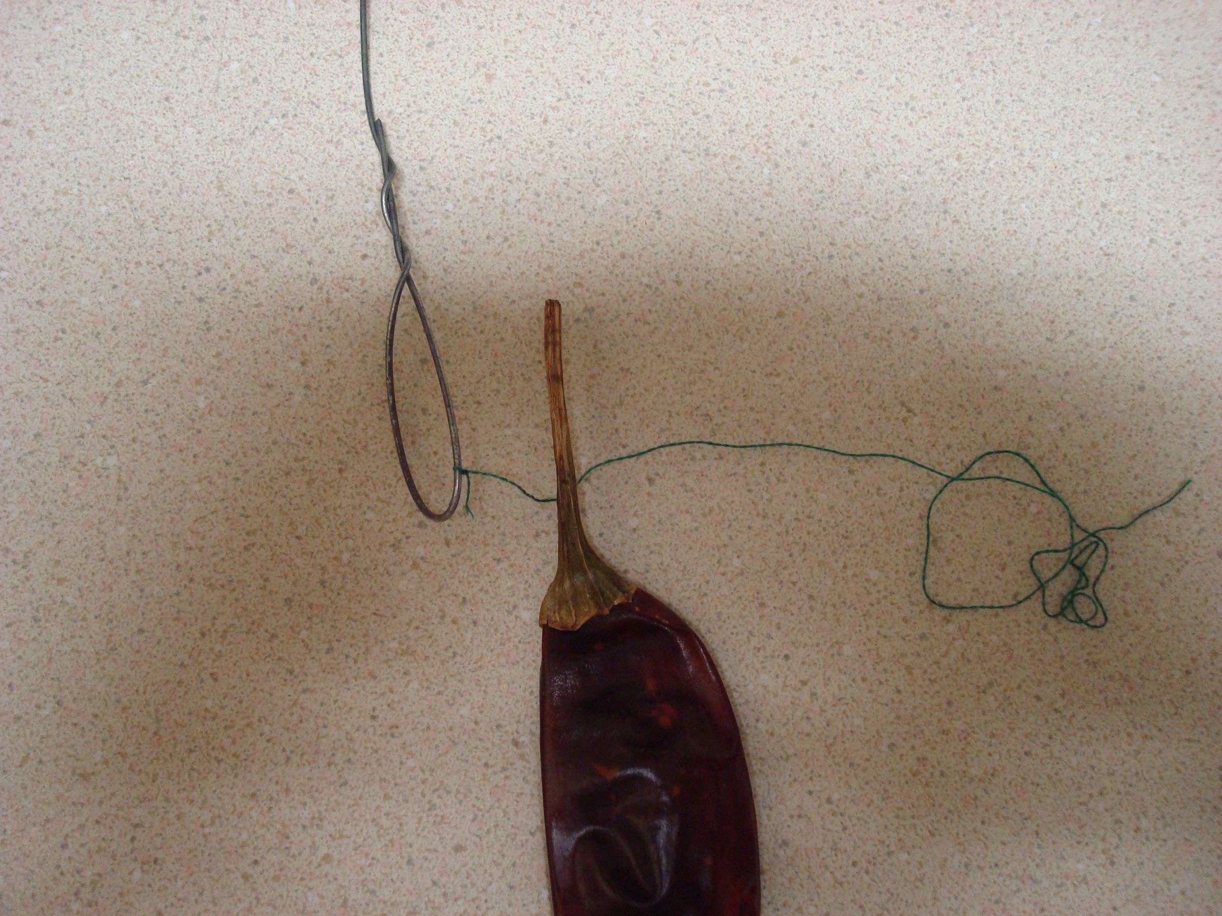 Chili Ristra Monster : 7 Steps - Instructables