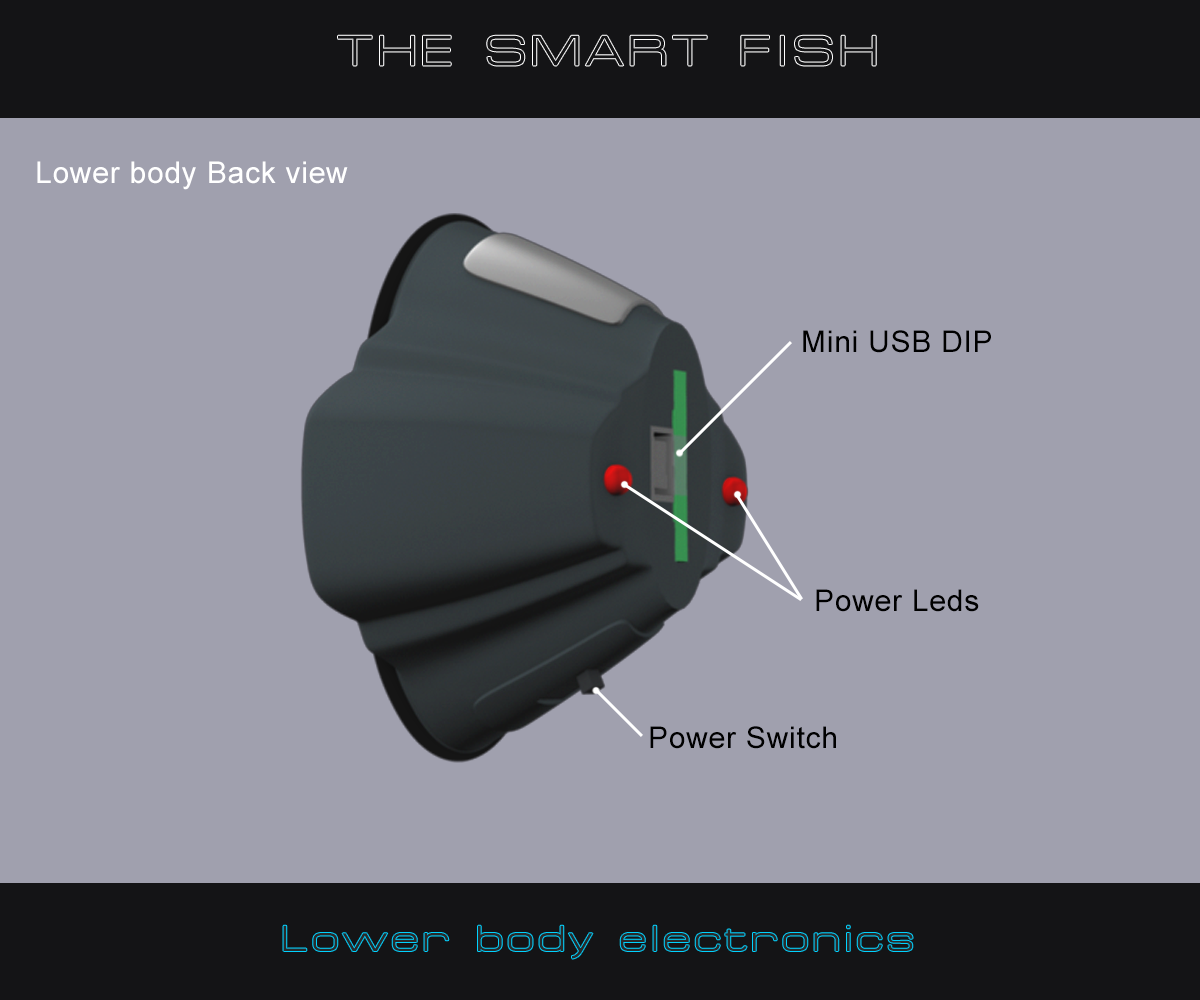 The Smart Fish. Programmable Robot : 21 Steps (with Pictures ...