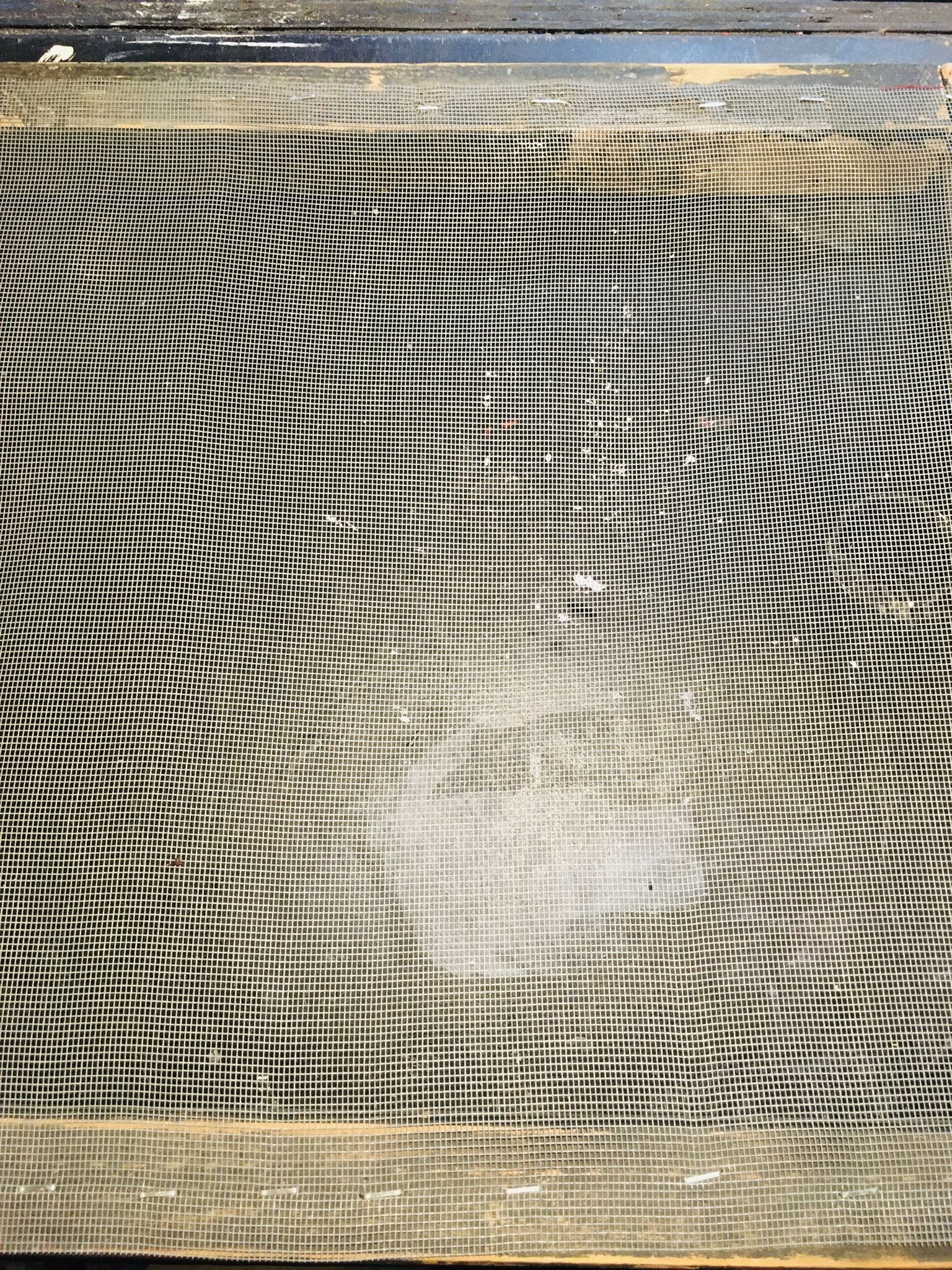 Homemade Paper : 3 Steps (with Pictures) - Instructables