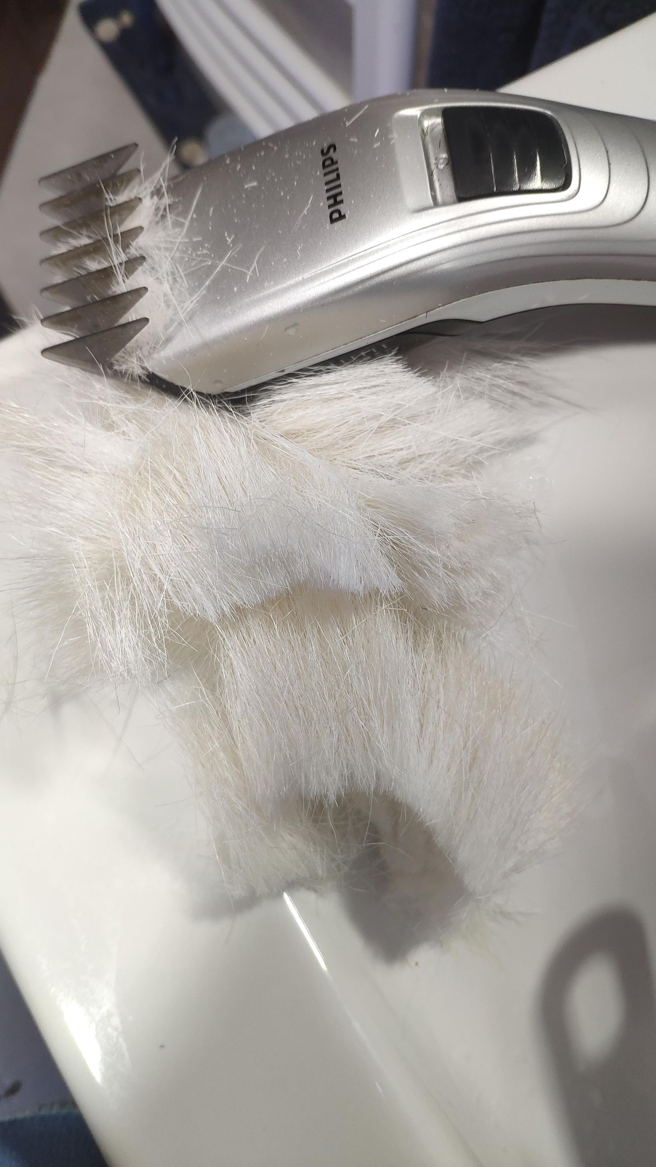 Goat Hair Brush : 12 Steps (with Pictures) - Instructables