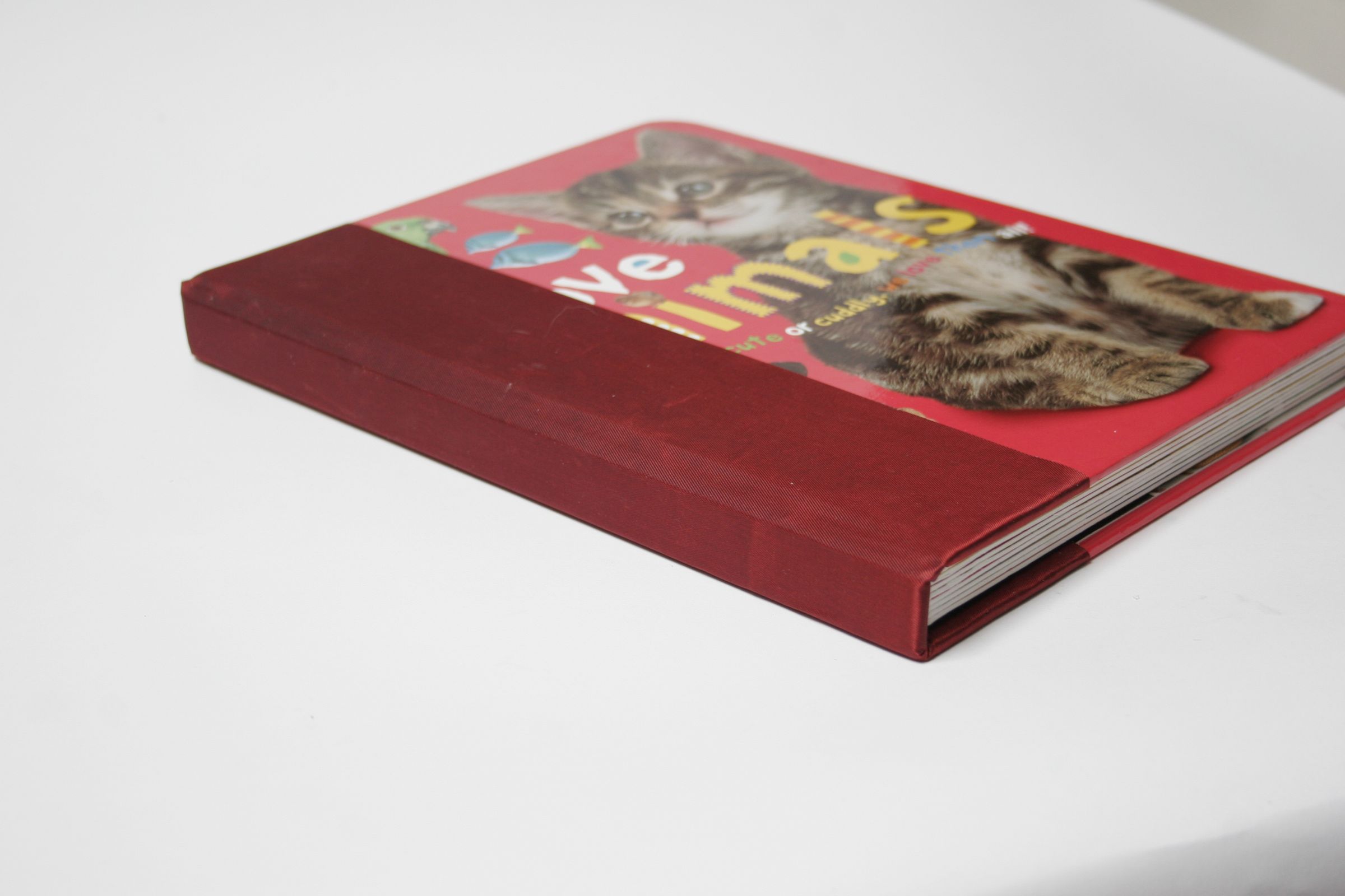 Simple Book Repair : 5 Steps (with Pictures) - Instructables