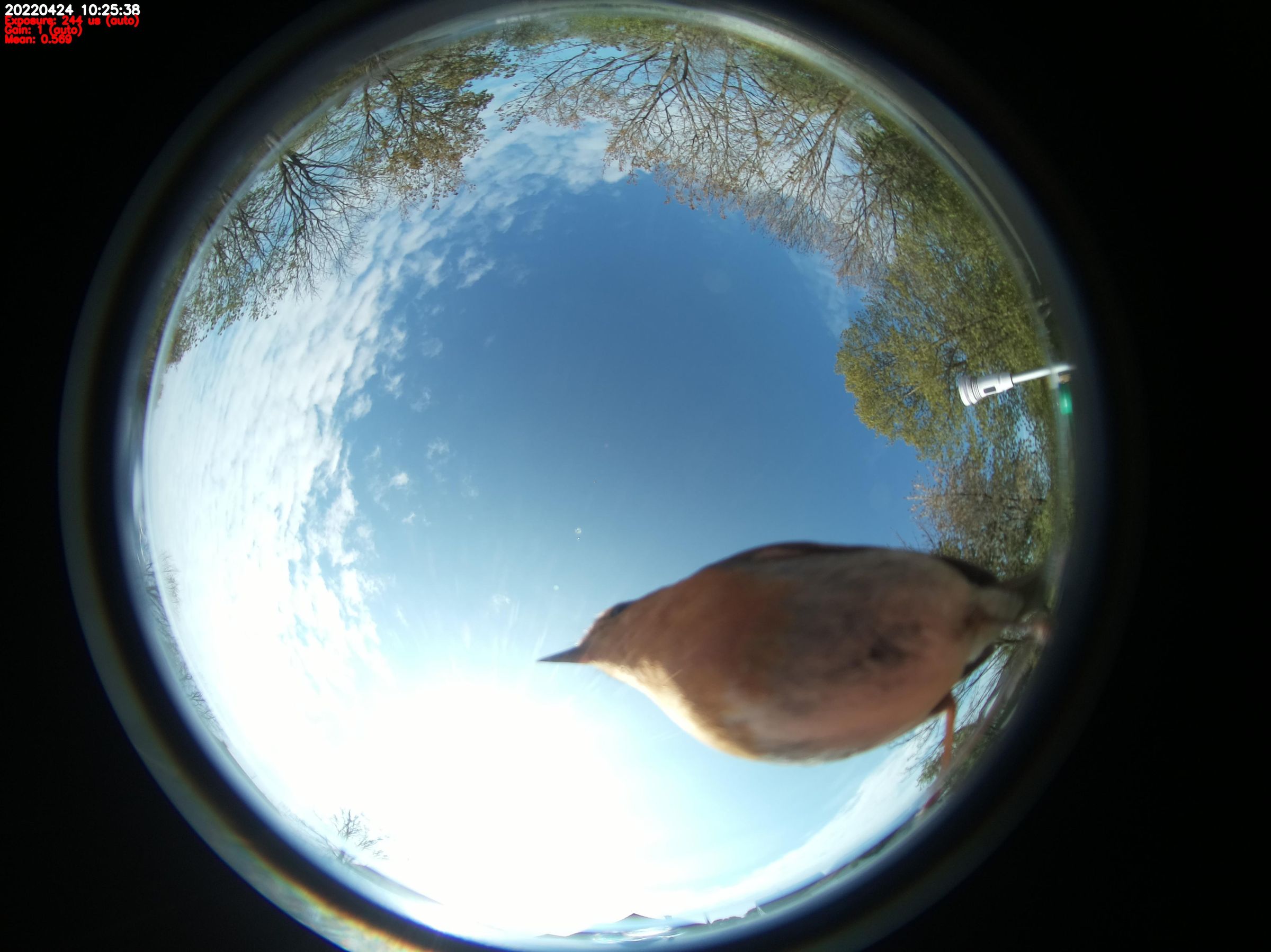 Wireless All Sky Camera : 6 Steps (with Pictures) - Instructables