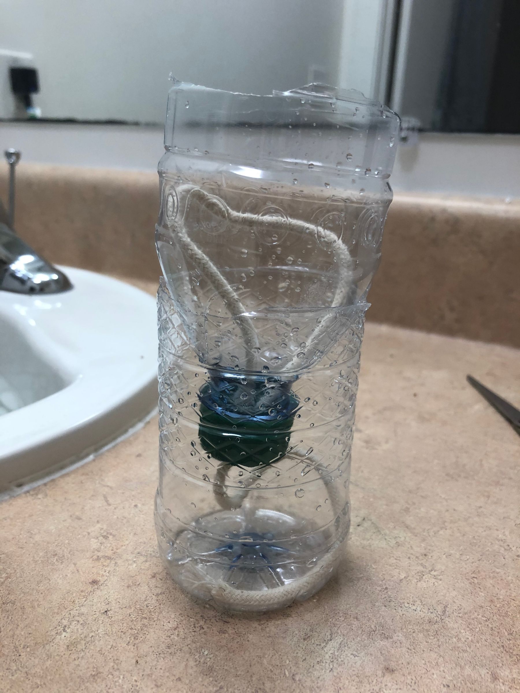 Recycled Self-Watering Water Bottle Pot : 6 Steps - Instructables