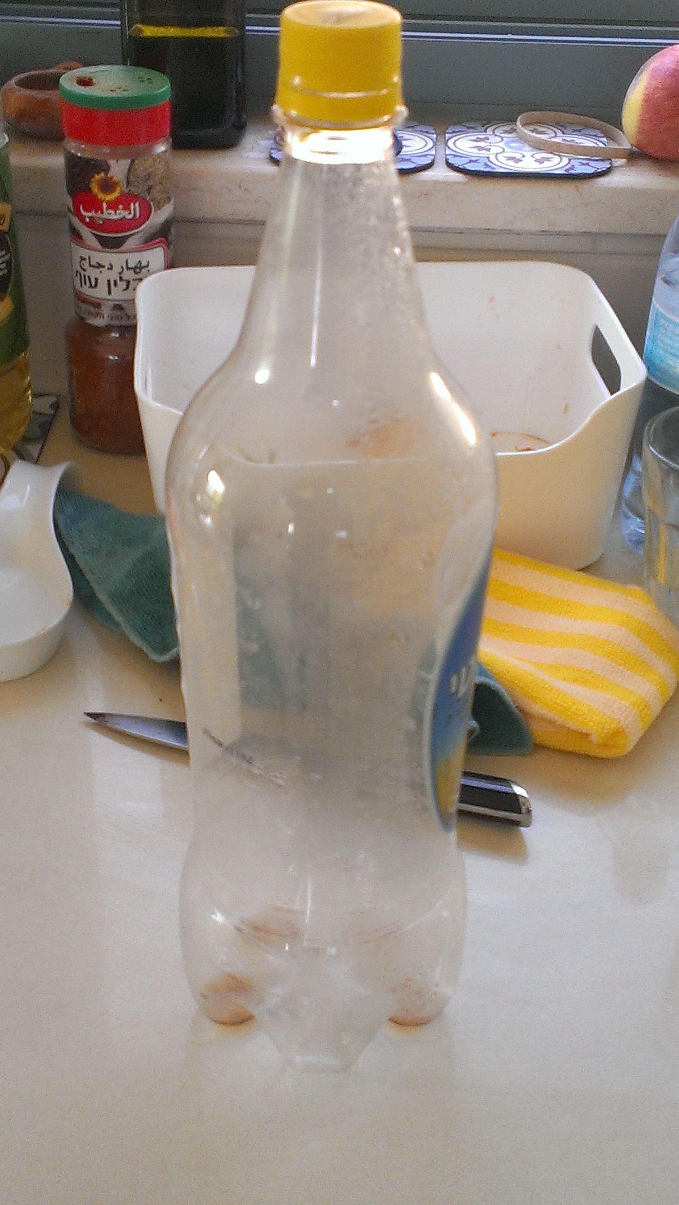 The Best Fly Trap : 4 Steps - Instructables