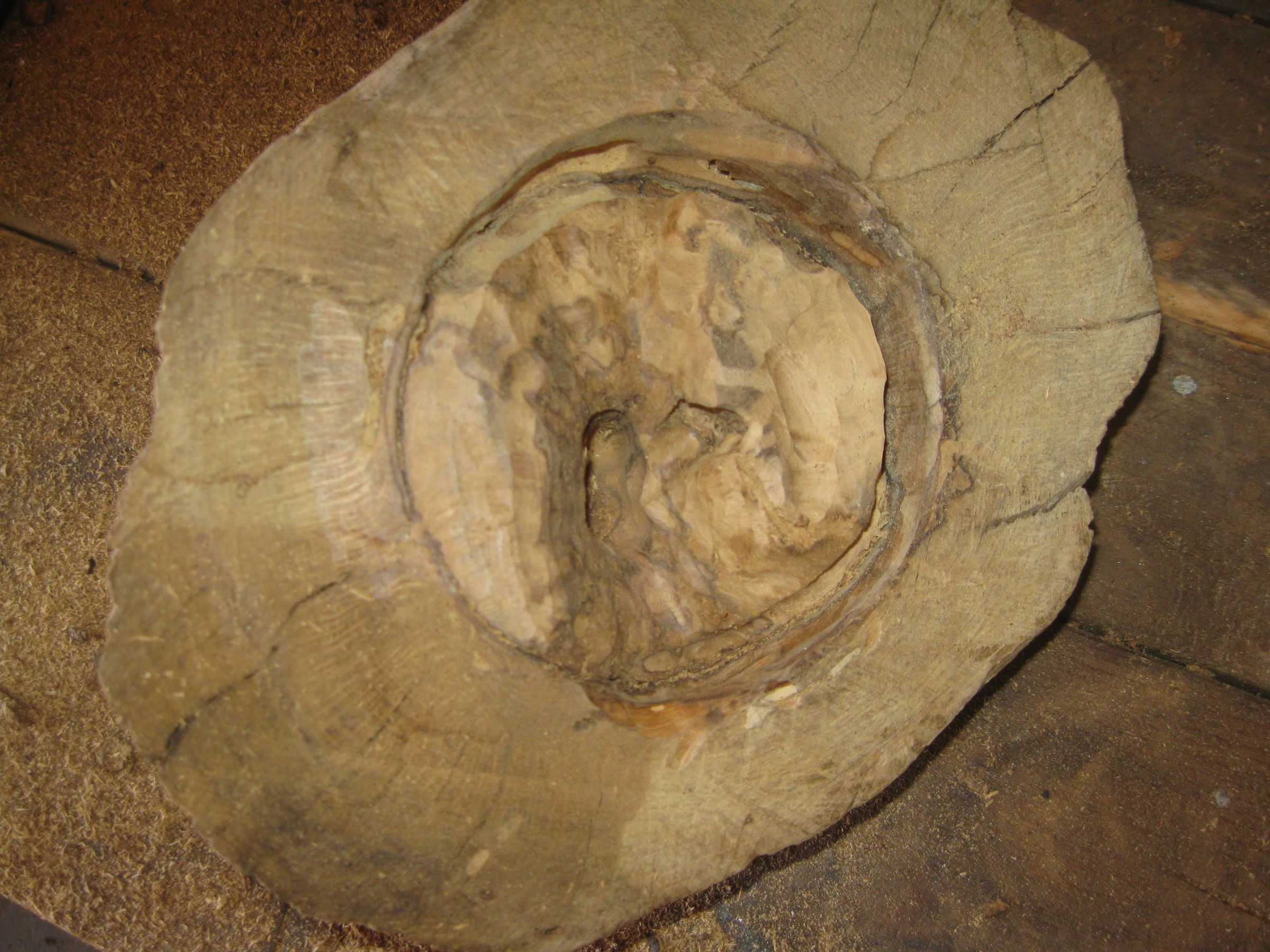 Making a Burl Bowl : 7 Steps (with Pictures) - Instructables