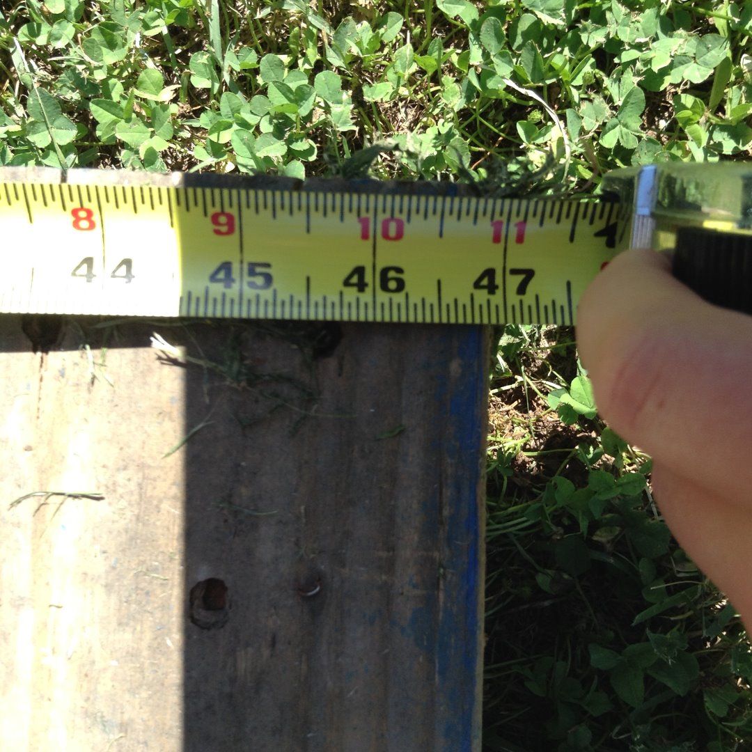 Pallet Platform : 3 Steps - Instructables