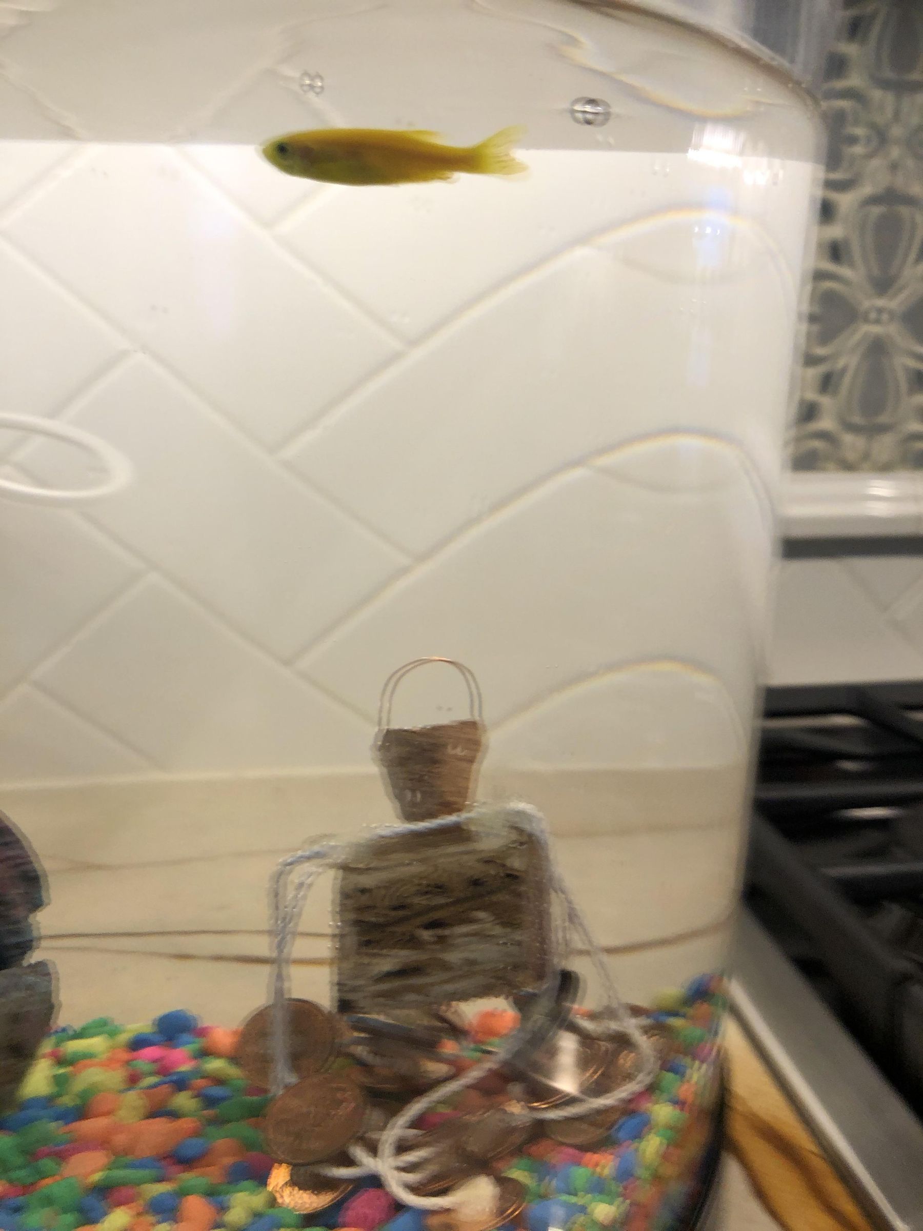 Deep Sea Secret : 4 Steps - Instructables