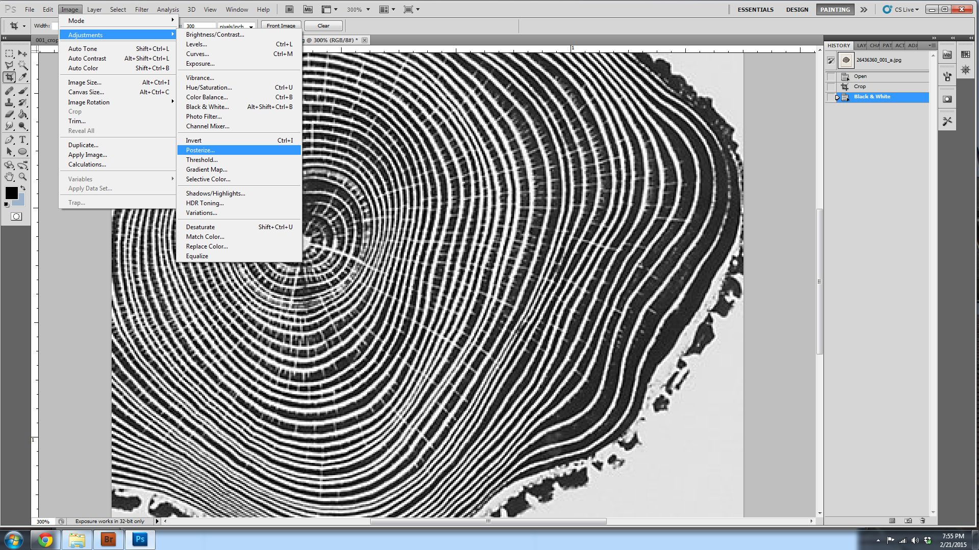Lasercut Tree Ring Coasters : 3 Steps (with Pictures) - Instructables