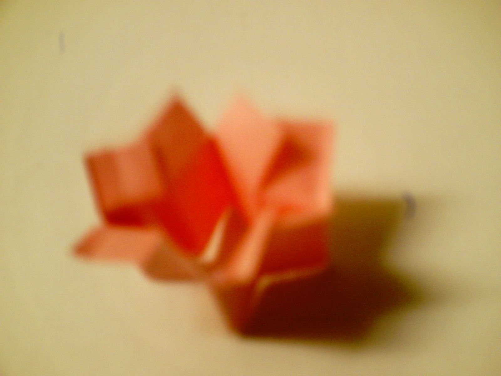 How to Make a Paper Tree : 7 Steps - Instructables