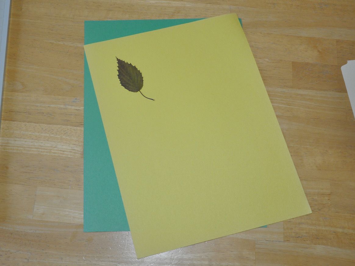 Pressed Leaf Bookmarks : 9 Steps (with Pictures) - Instructables