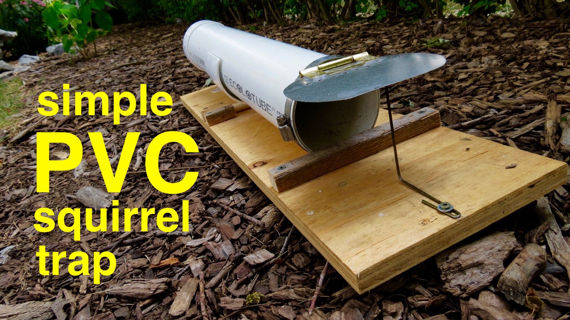 PVC Humane Capture Release Squirrel Trap : 14 Steps (with Pictures ...