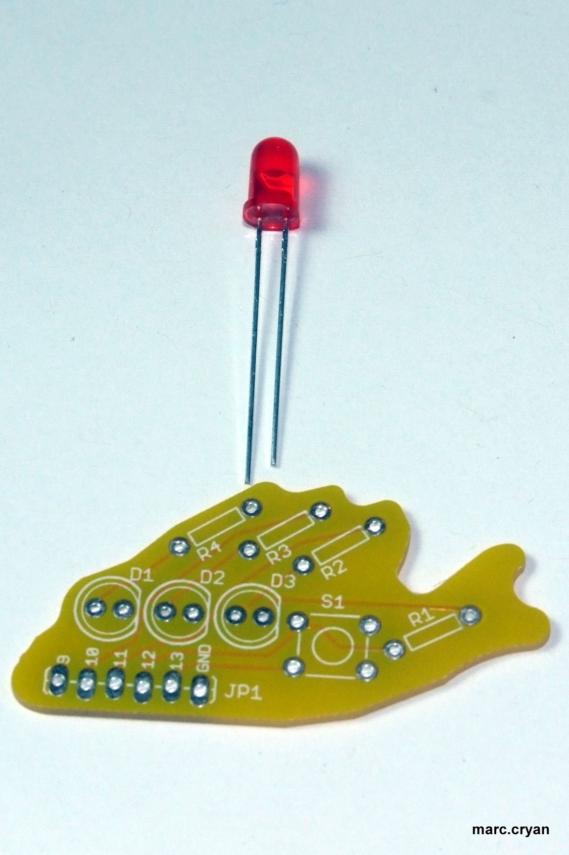 Blinky Fish - Kickstarter Project : 15 Steps - Instructables