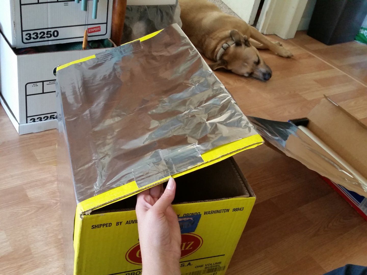 Make a Box Oven the Girl Scout Way : 8 Steps (with Pictures ...