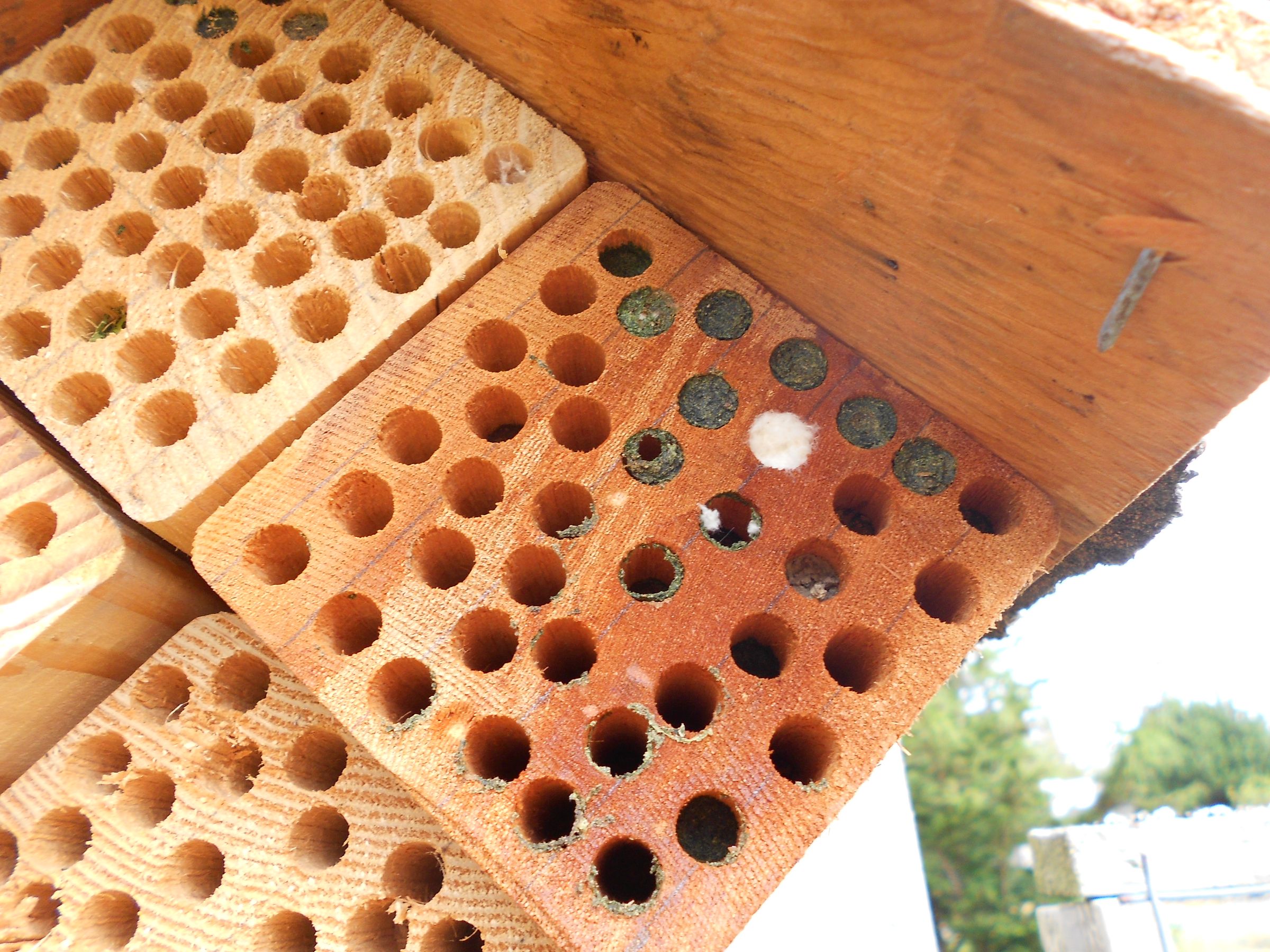 Make Your Own Little Bee Houses : 8 Steps (with Pictures) - Instructables