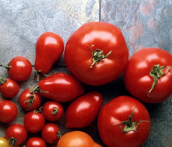 How to Make a Easy, Delicious, Tomato Dish. : 4 Steps - Instructables