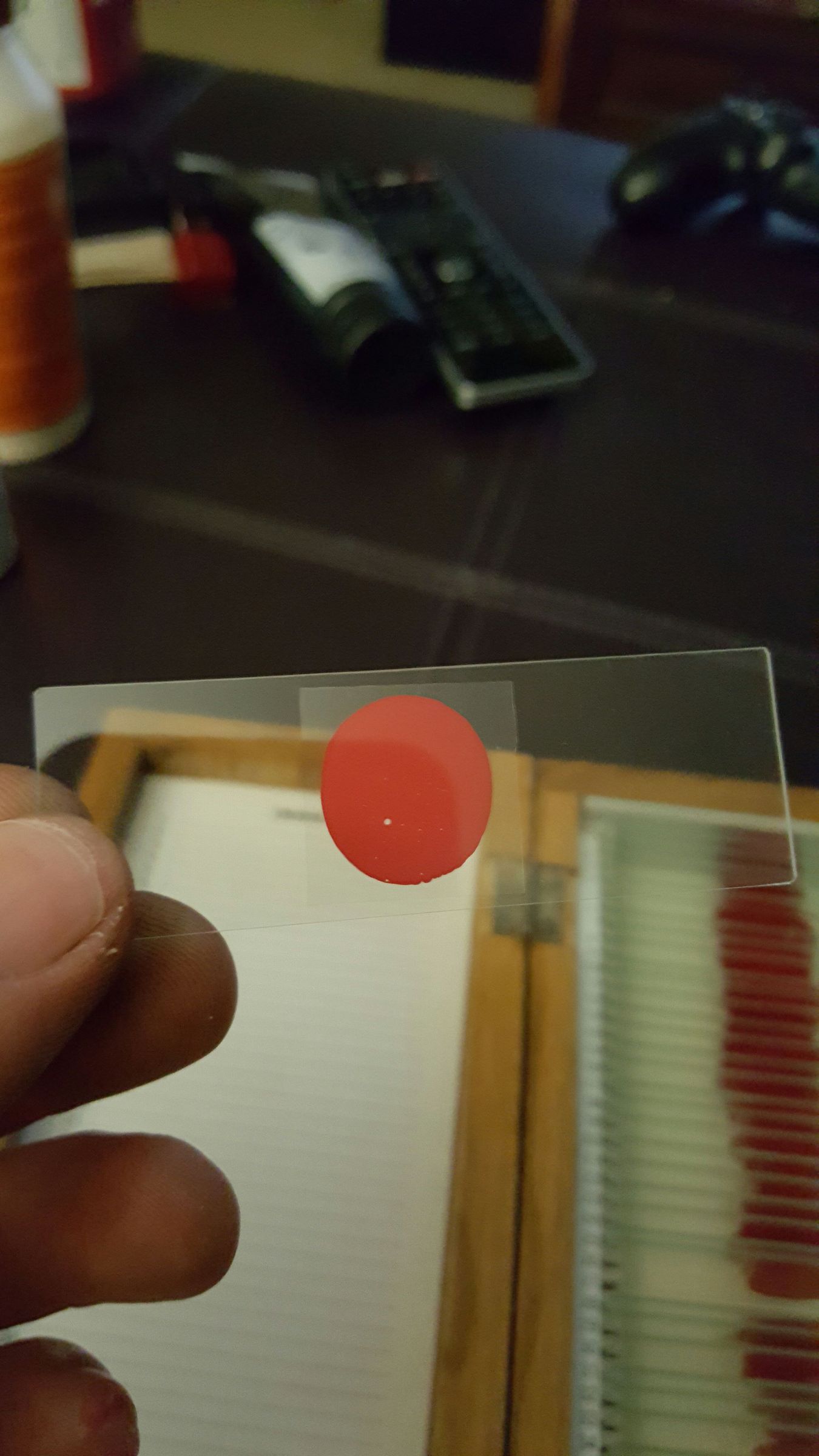 Dexter Trophy Case for UNDER $20 : 4 Steps - Instructables