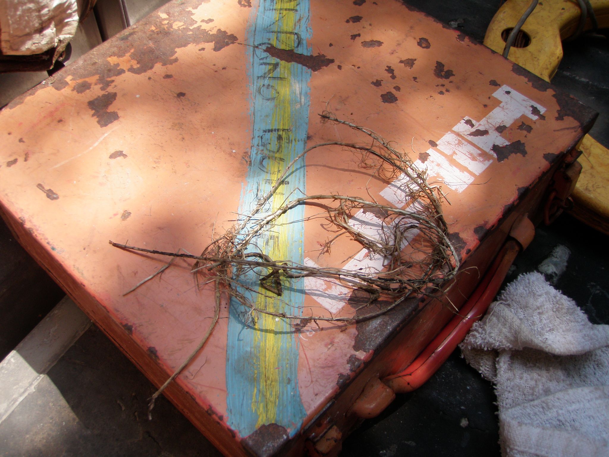 Make Your Own Mini-rooter : 3 Steps (with Pictures) - Instructables