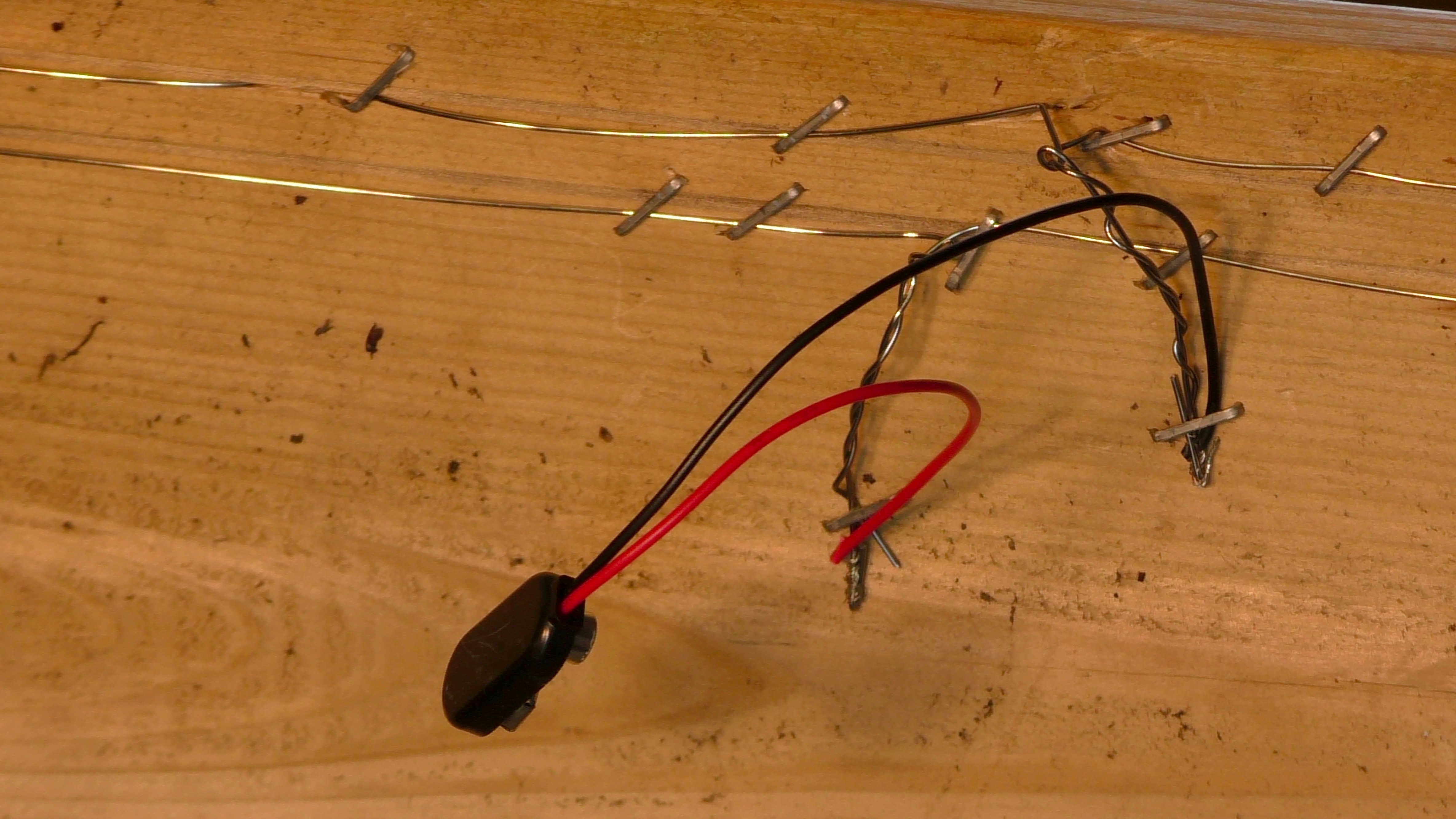 Raised Bed With Built-in Slug Control : 4 Steps (with Pictures ...