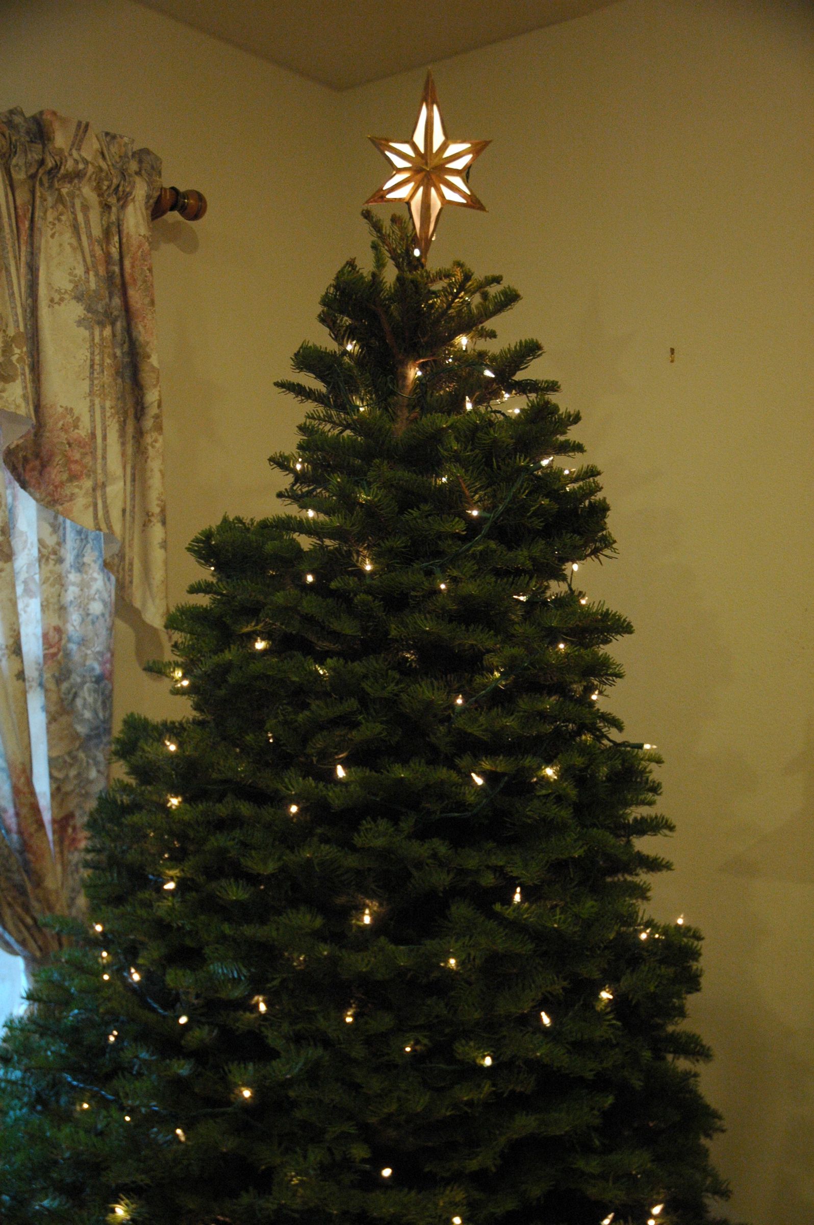 Lighted Bethlehem Star Tree Topper : 10 Steps (with Pictures ...