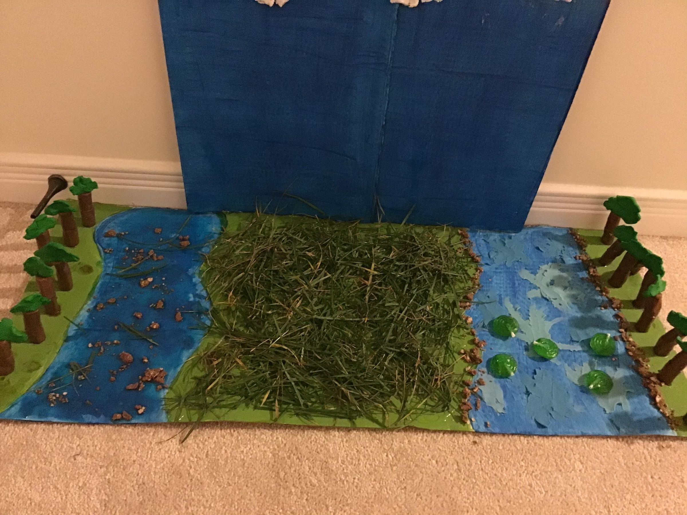 Easy Freshwater Ecosystem With Candy! : 10 Steps - Instructables