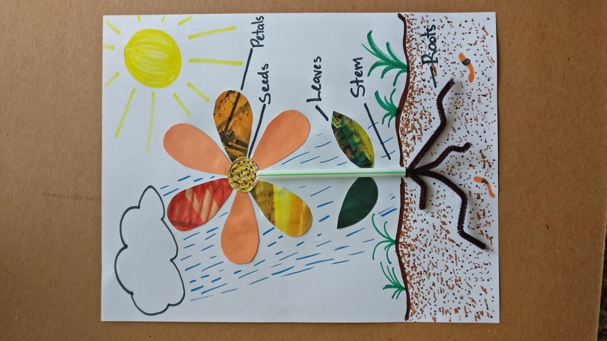 Flower Collage : 5 Steps - Instructables