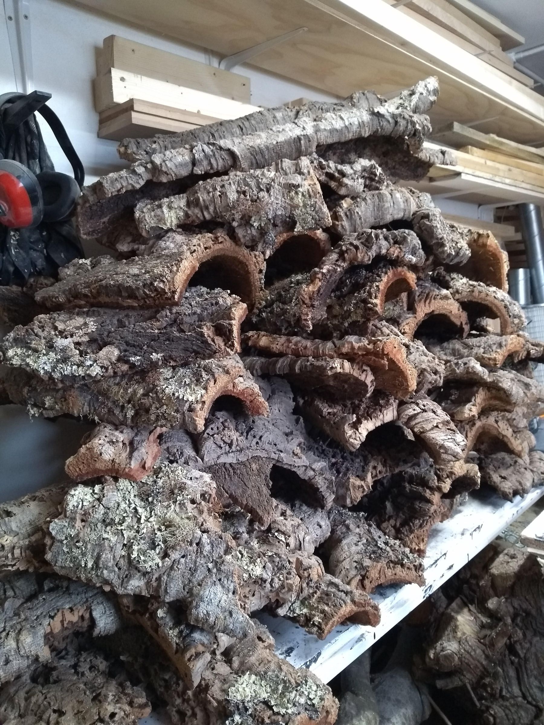 Tree Cabinet : 5 Steps (with Pictures) - Instructables