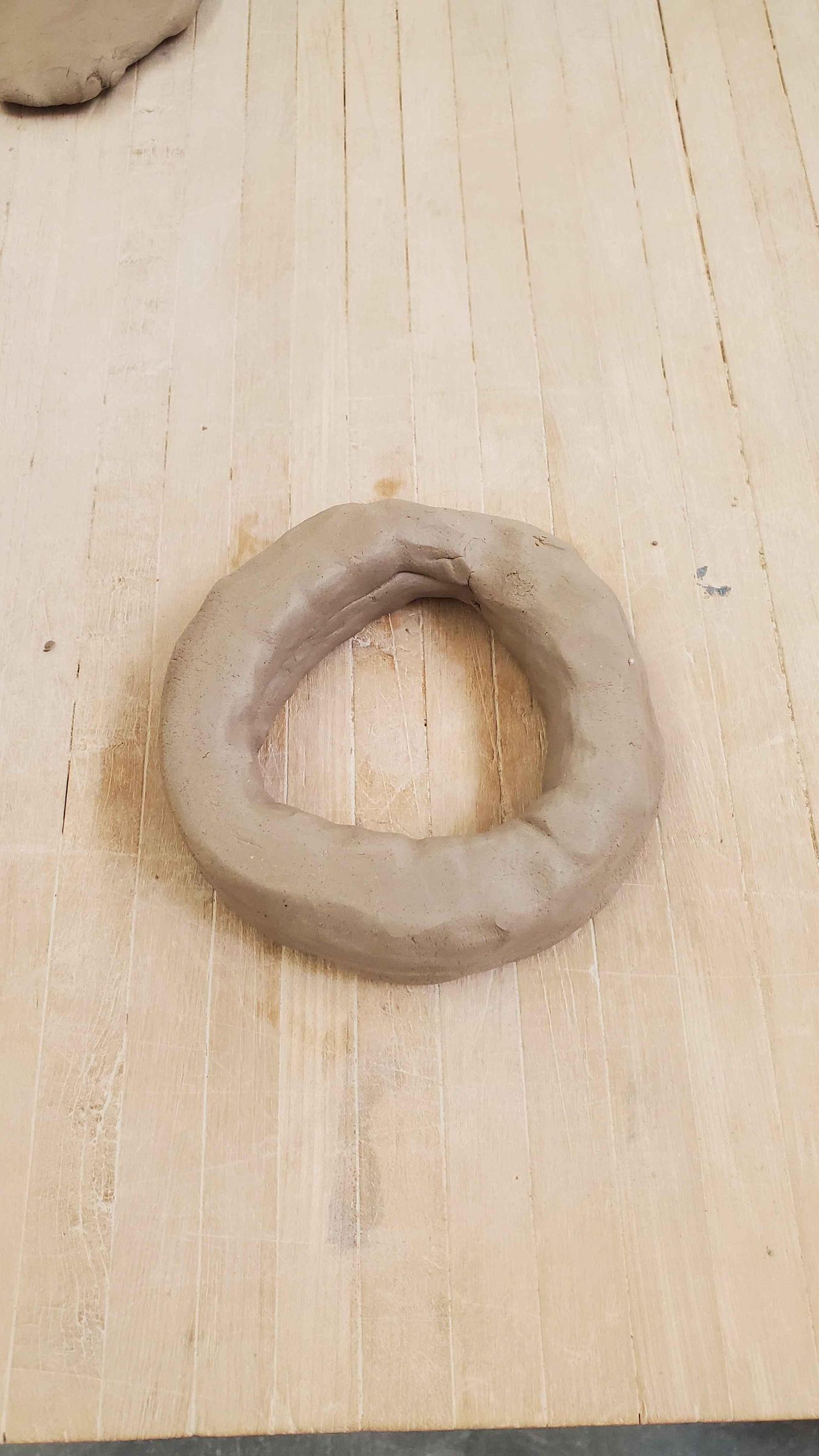 Anatomically Correct Heart - Clay : 11 Steps (with Pictures ...