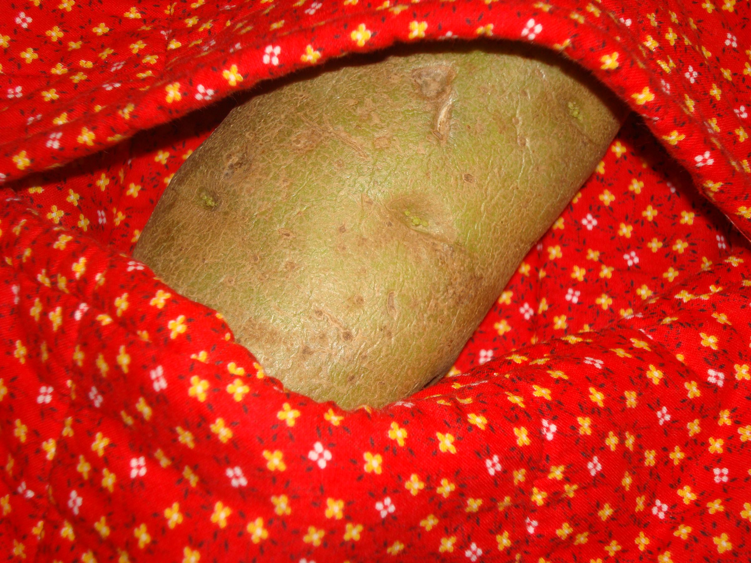 Amazing Microwave Potato Bag! : 13 Steps (with Pictures) - Instructables