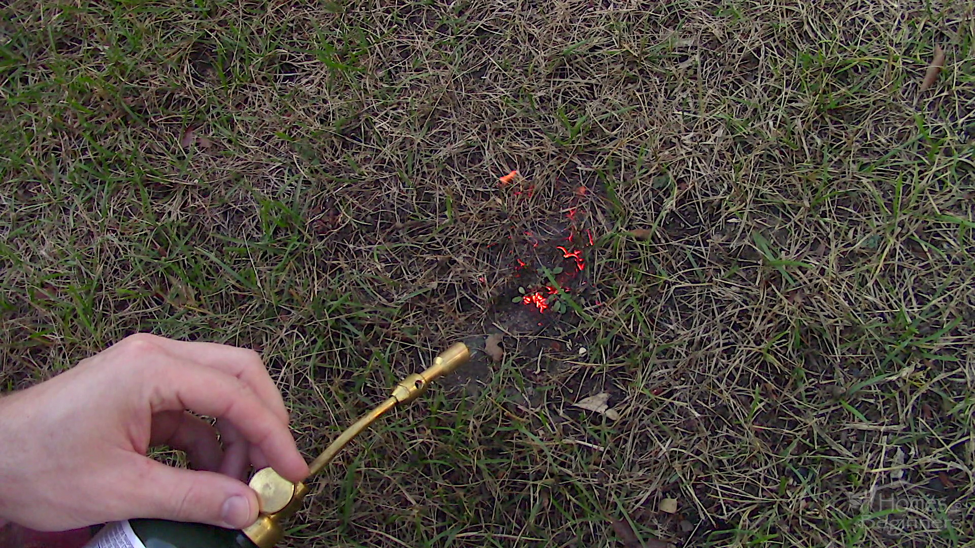 How to Flame Weed - the Beginner's Guide : 6 Steps - Instructables