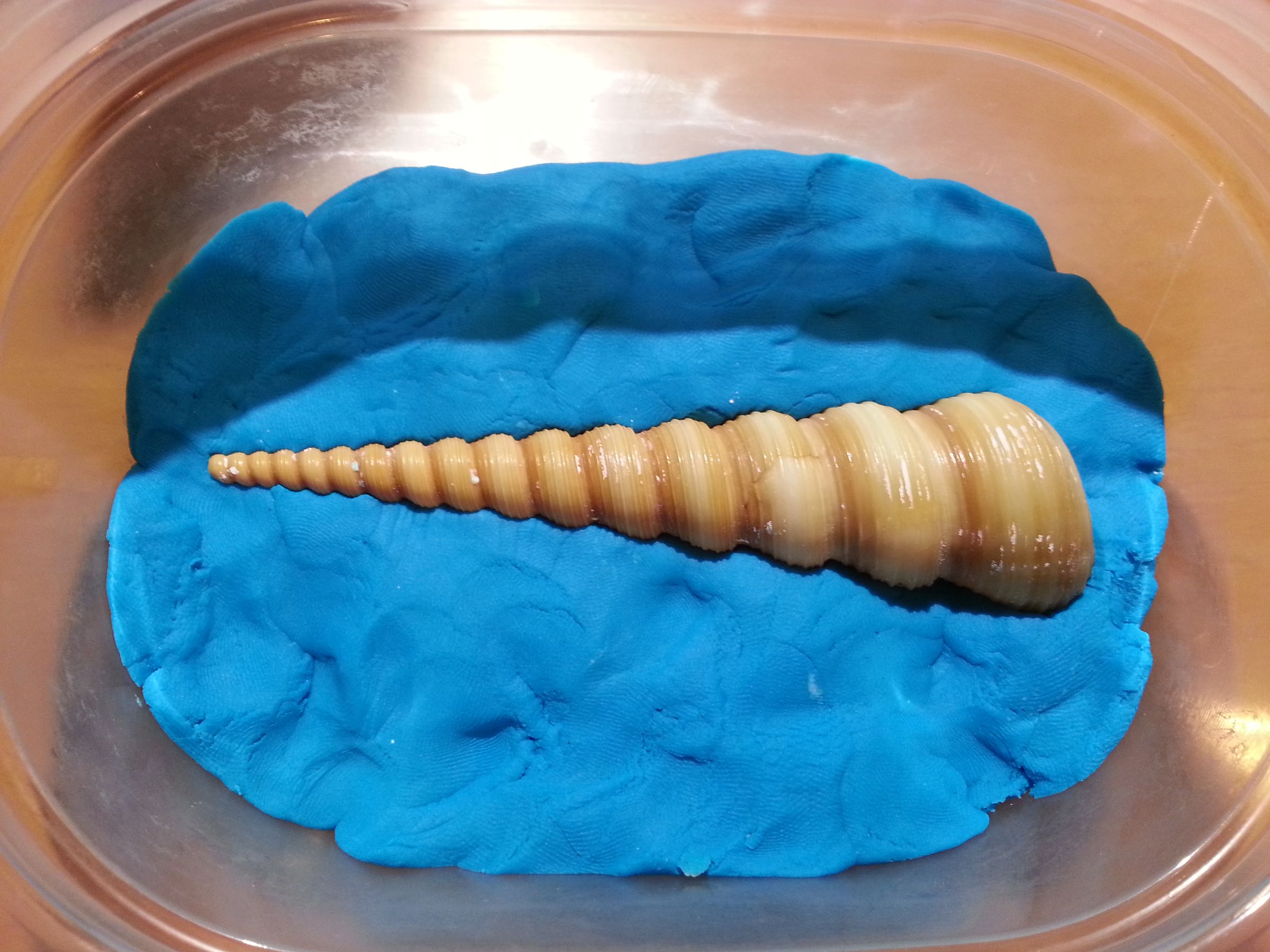 Make a Two Part Reusable Mold Using Plaster : 9 Steps - Instructables