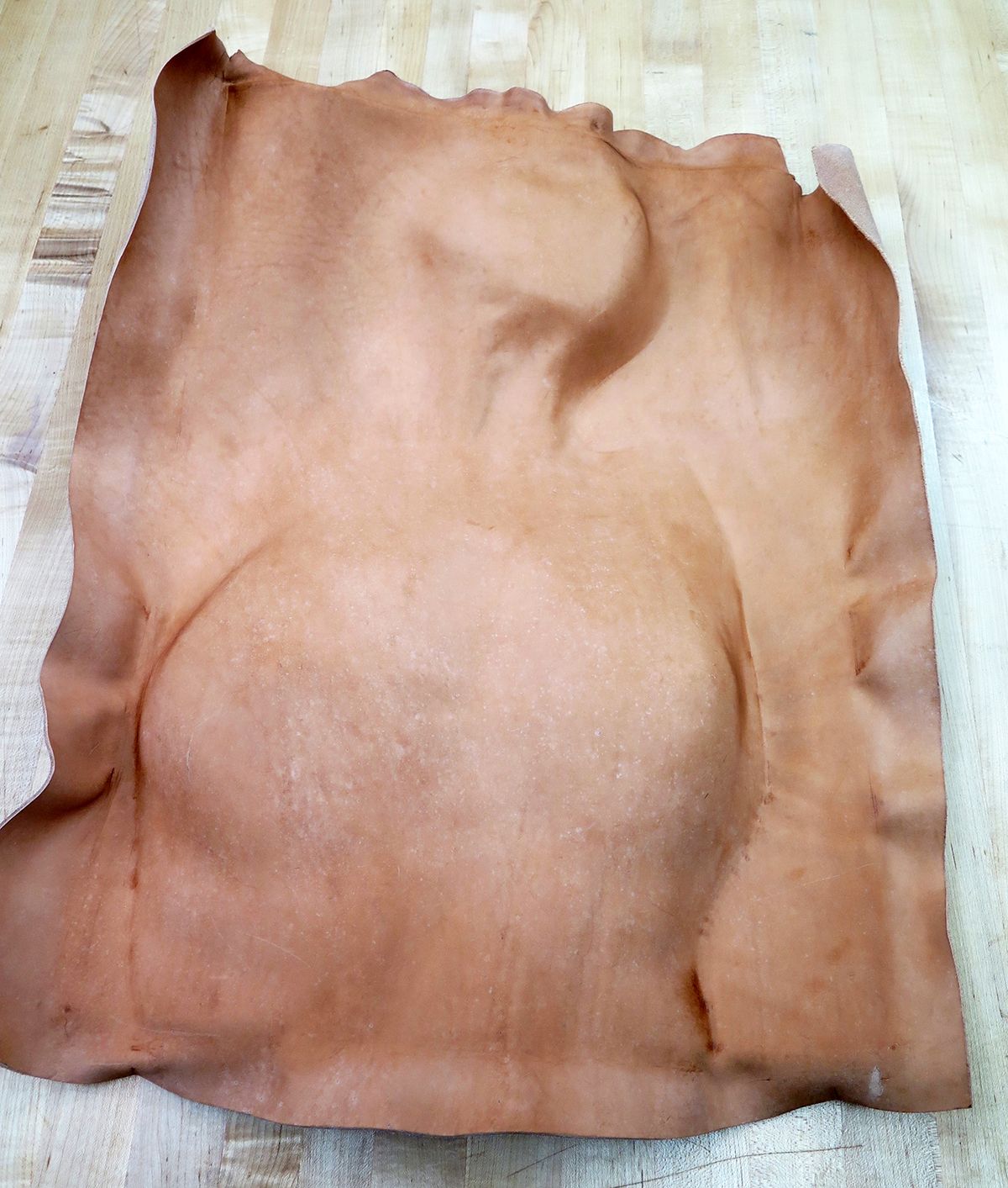 Encased - Body Shaped Leather Lugguge : 10 Steps (with Pictures ...