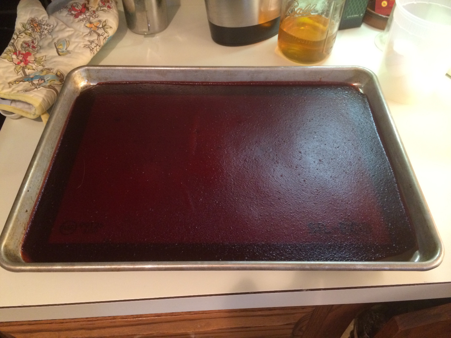 Fruit Leather : 16 Steps (with Pictures) - Instructables