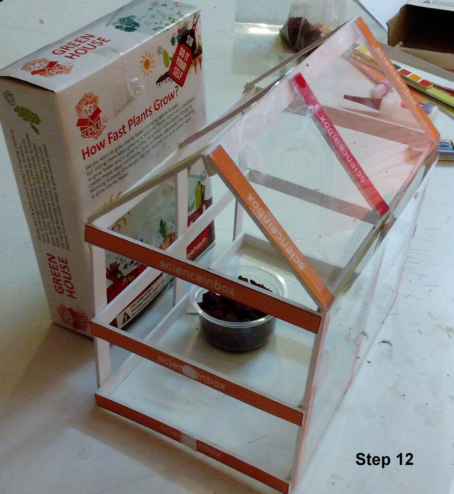 Make Your Own Greenhouse - How Fast the Plants Grow : 10 Steps ...