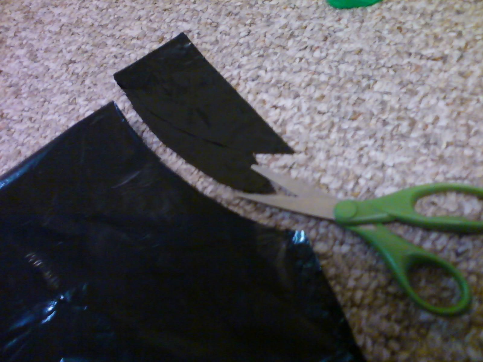 How to Make a Bacteria Themed Costume & Meet Neil Gaiman : 5 Steps ...