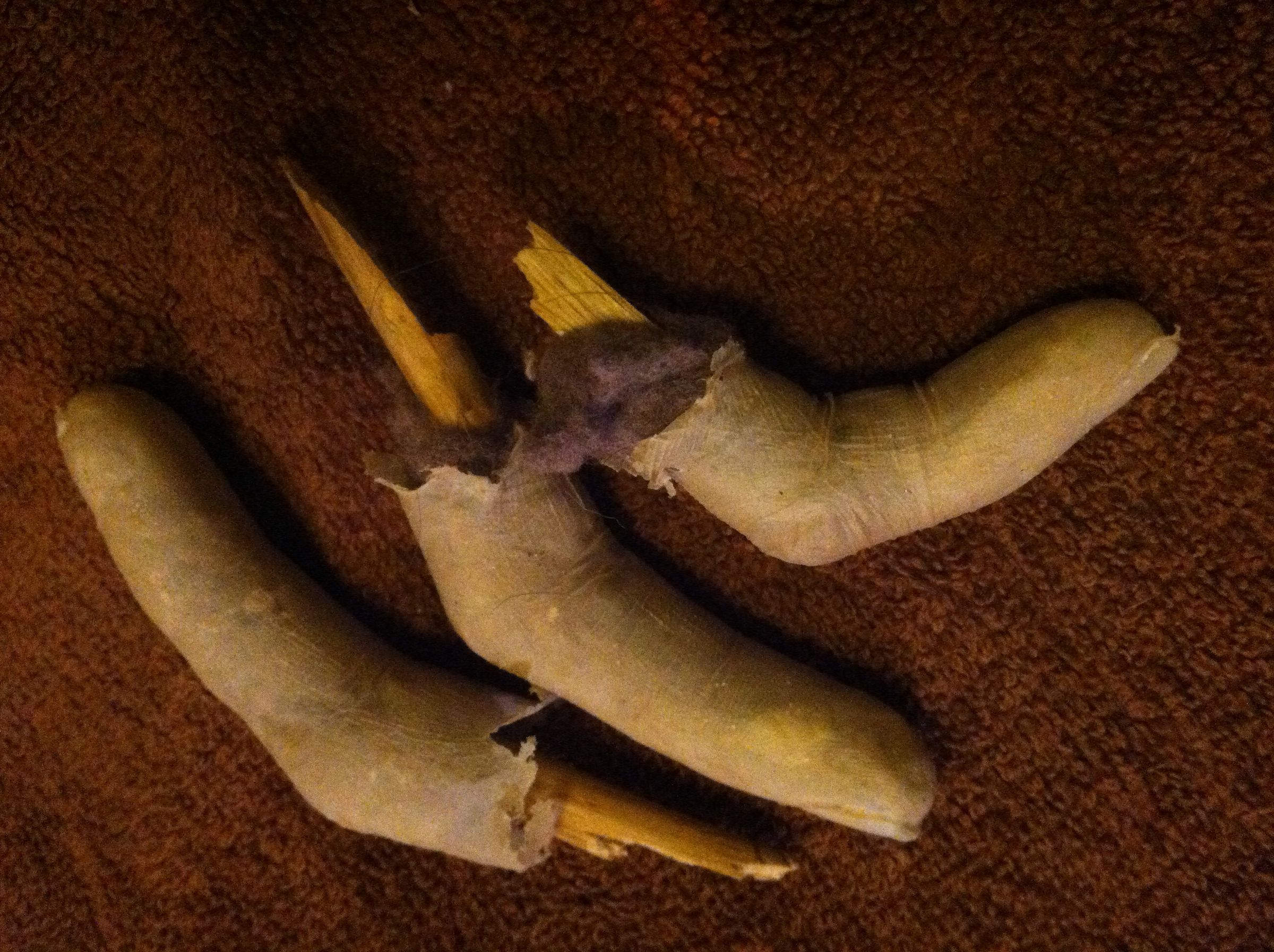 Simple Severed Fingers : 7 Steps (with Pictures) - Instructables