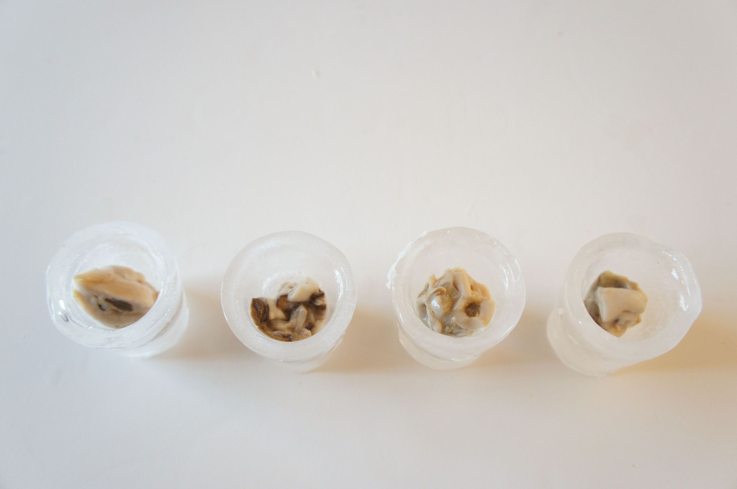 Ice Shot Glass Oyster Shooters (with Pictures) - Instructables