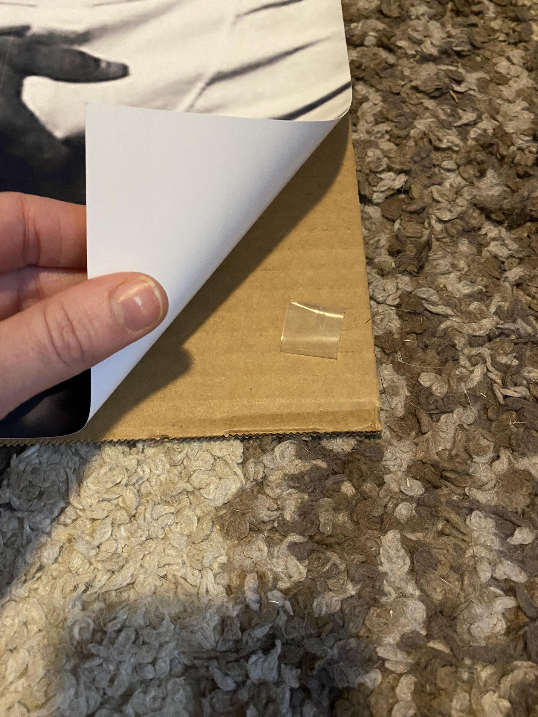 Easy Book (Marky) Mark Halloween Costume : 7 Steps - Instructables