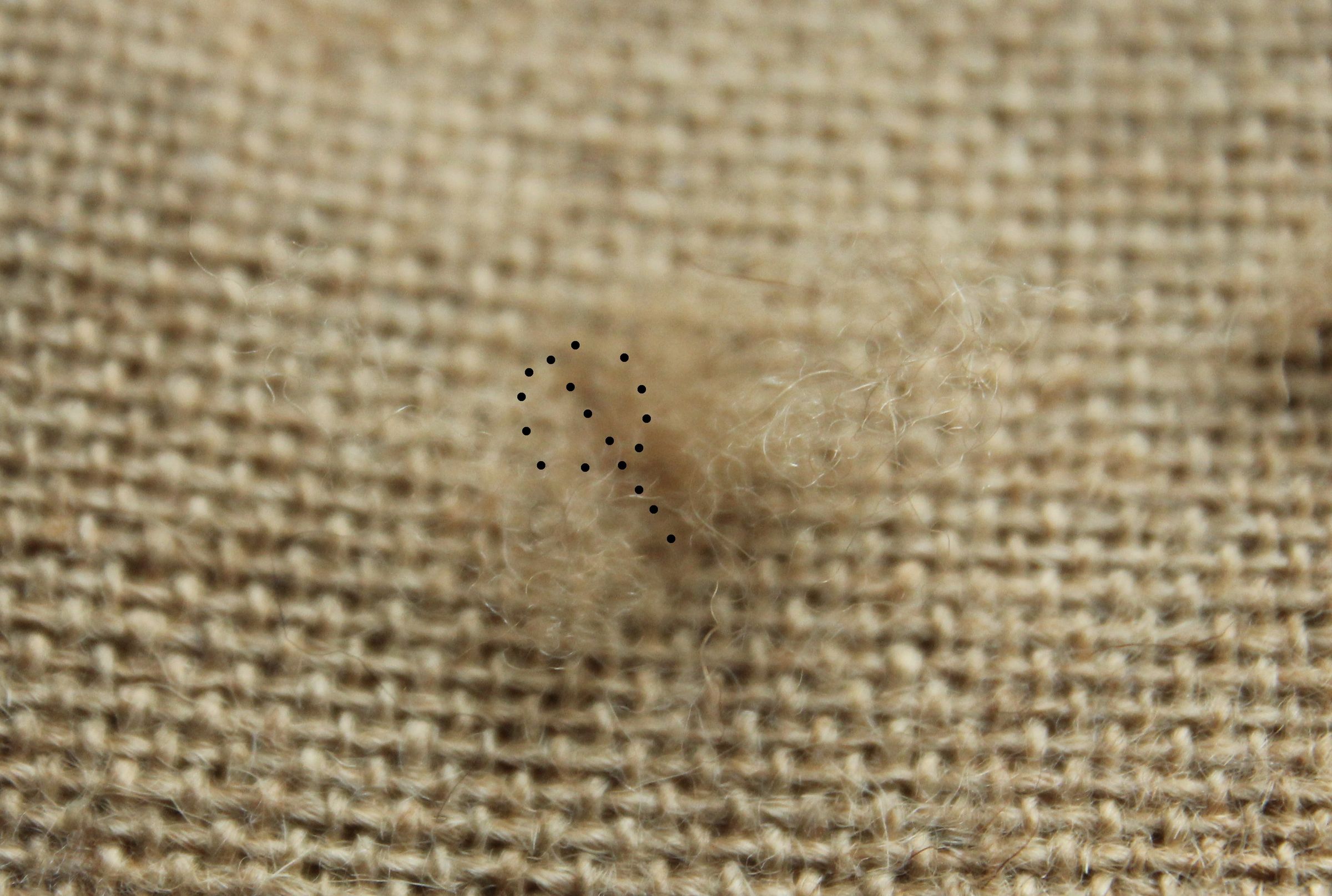 Teeny Tiny Teddy Bear for a Dolls' House Doll : 3 Steps (with Pictures ...