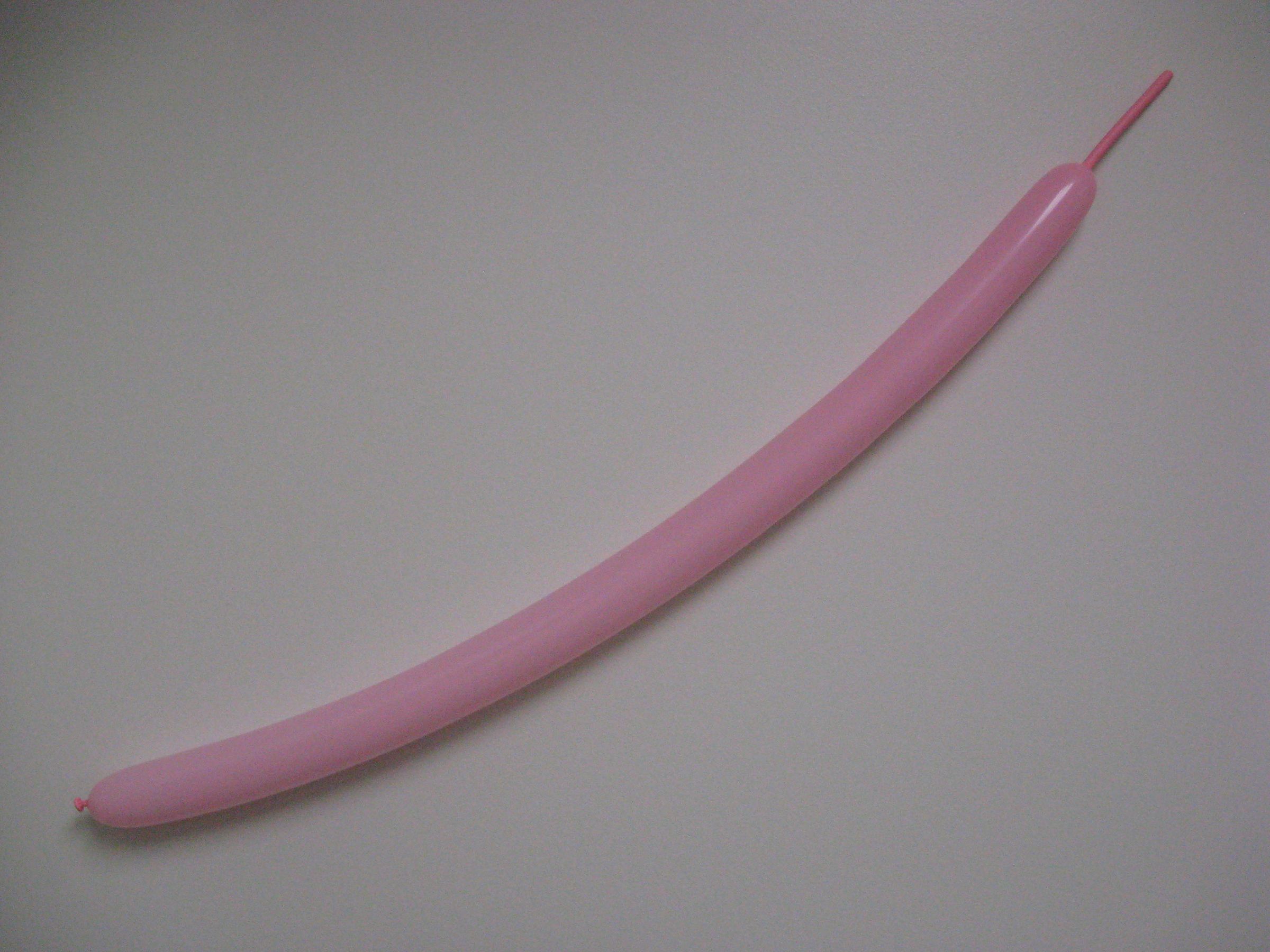 Balloon Puppy : 7 Steps (with Pictures) - Instructables