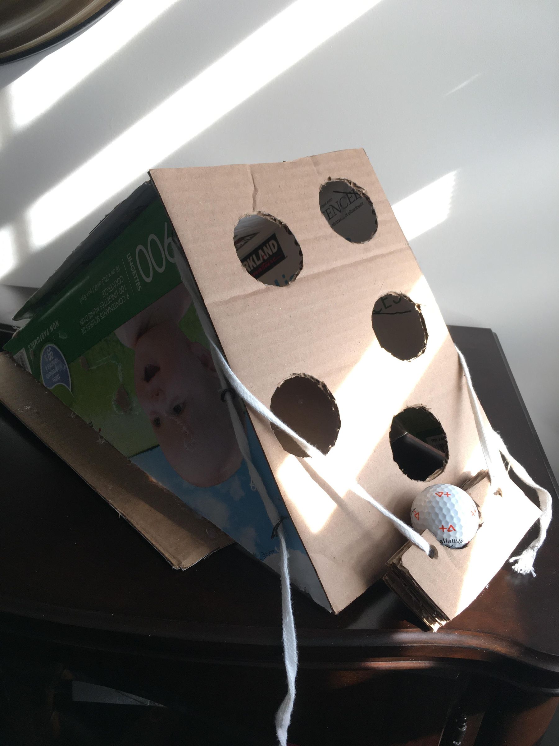 'Survivor' Inspired DIY Ball Pulley Game : 7 Steps (with Pictures ...