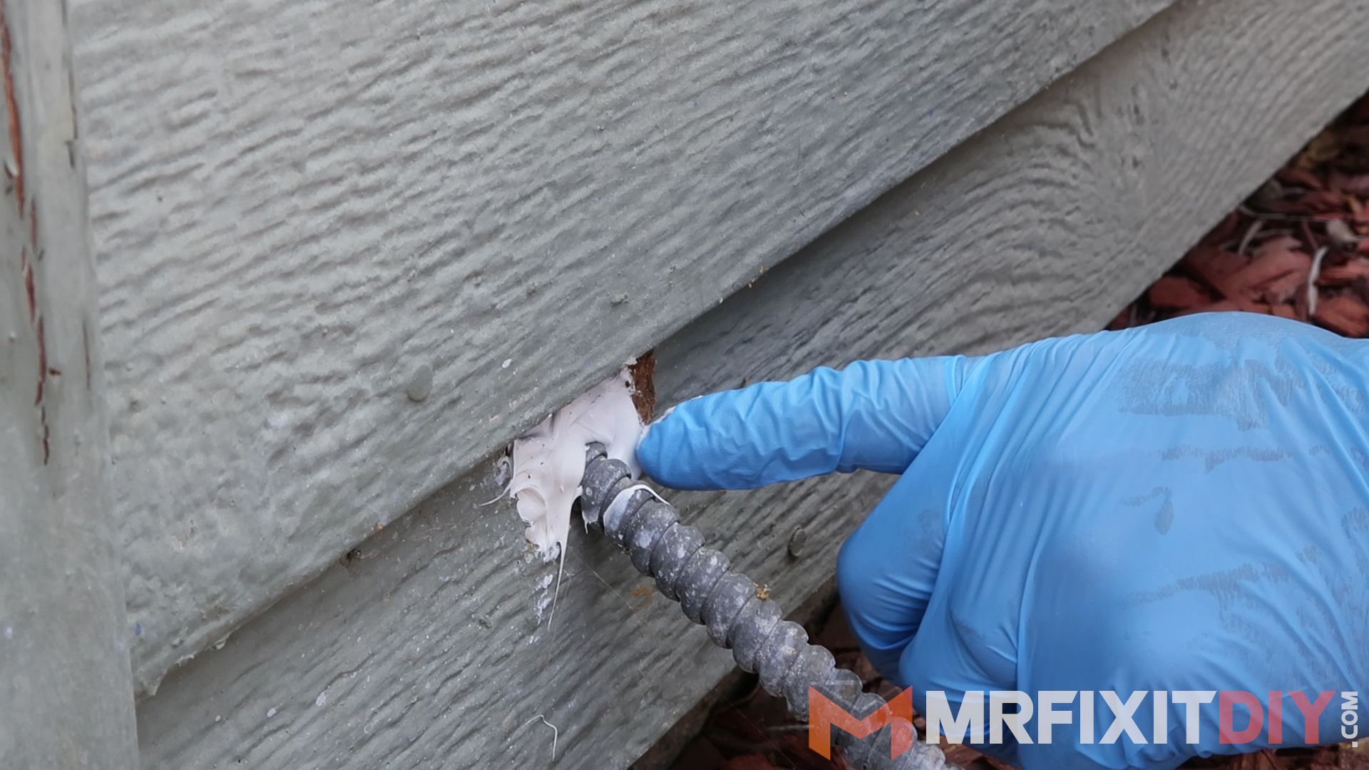 Top 5 DIY Ways to Get Rid of Ants : 6 Steps - Instructables