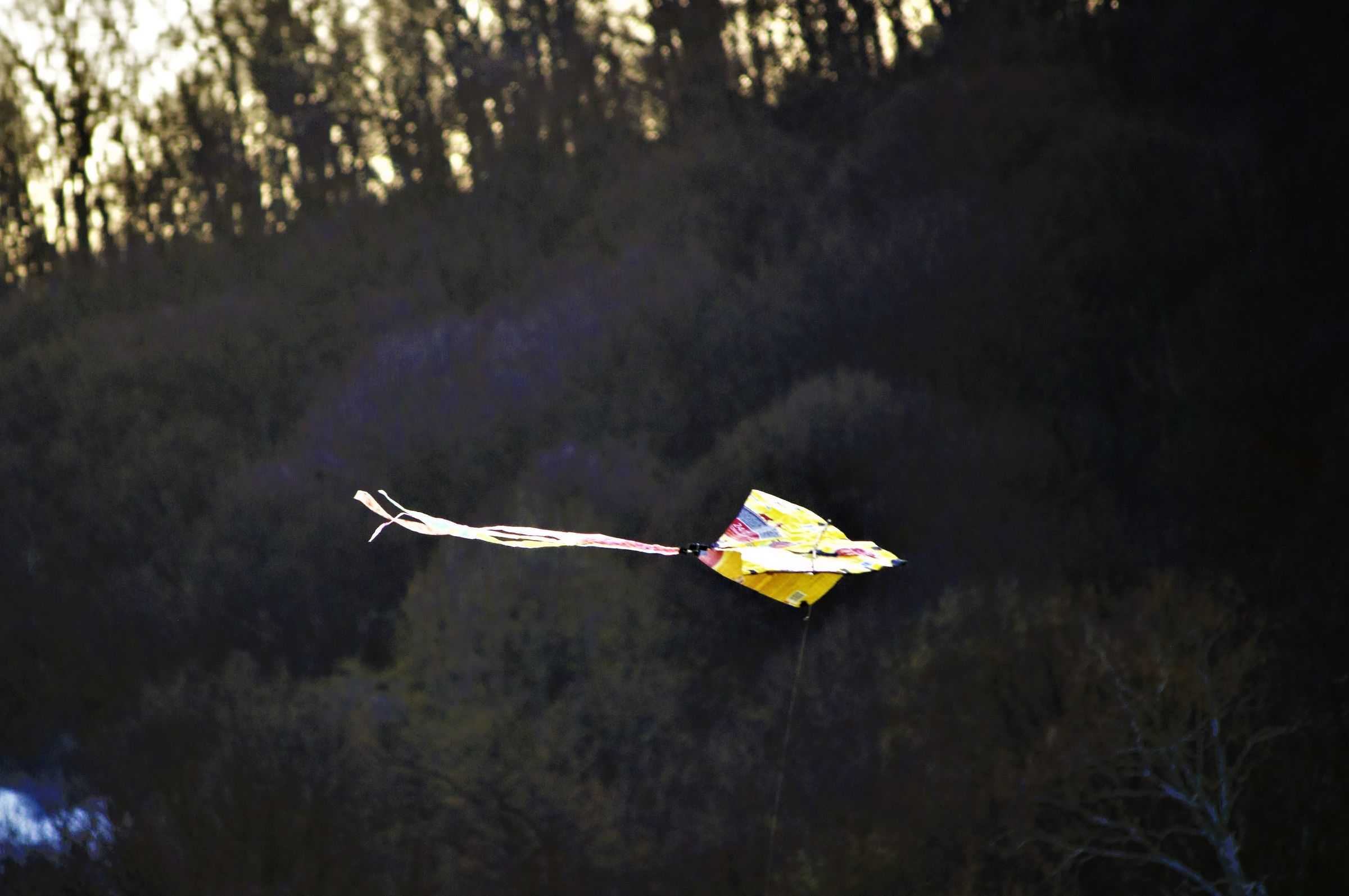 DIY Recycled Material Kite : 7 Steps (with Pictures) - Instructables