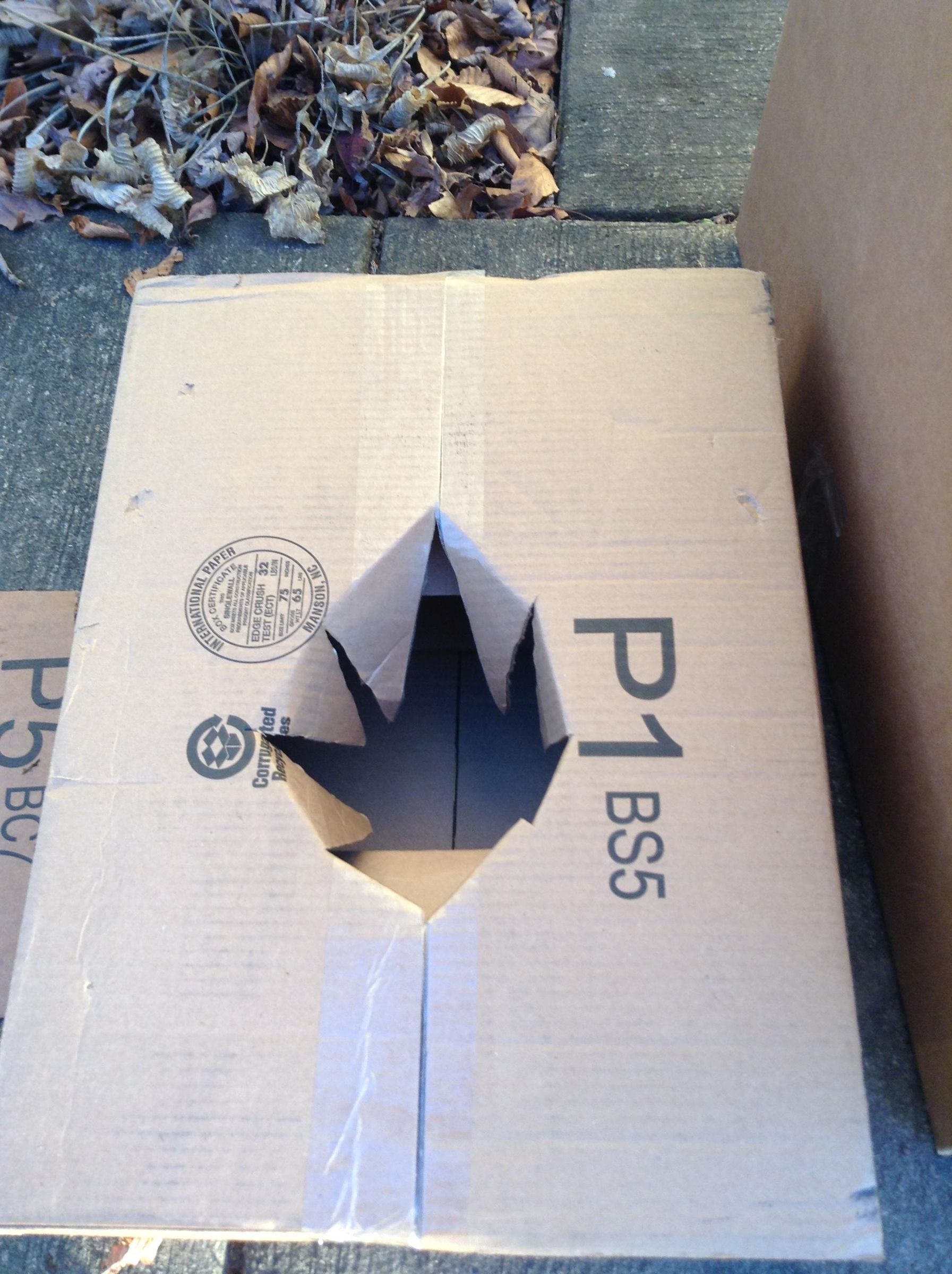 Amazon Delivery Box Costume : 3 Steps - Instructables