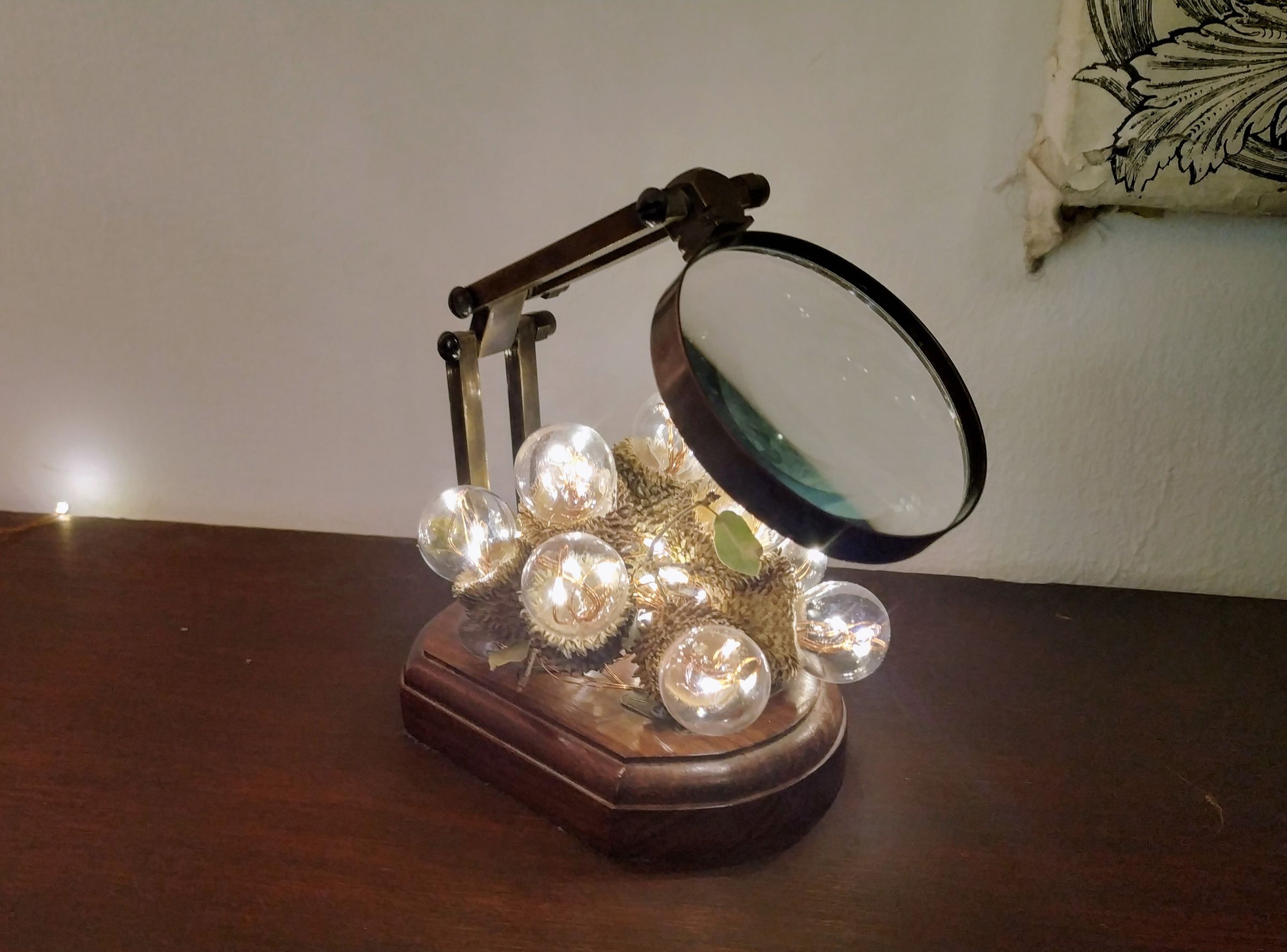 Tiny Acorn Light Bulbs!!! : 3 Steps (with Pictures) - Instructables